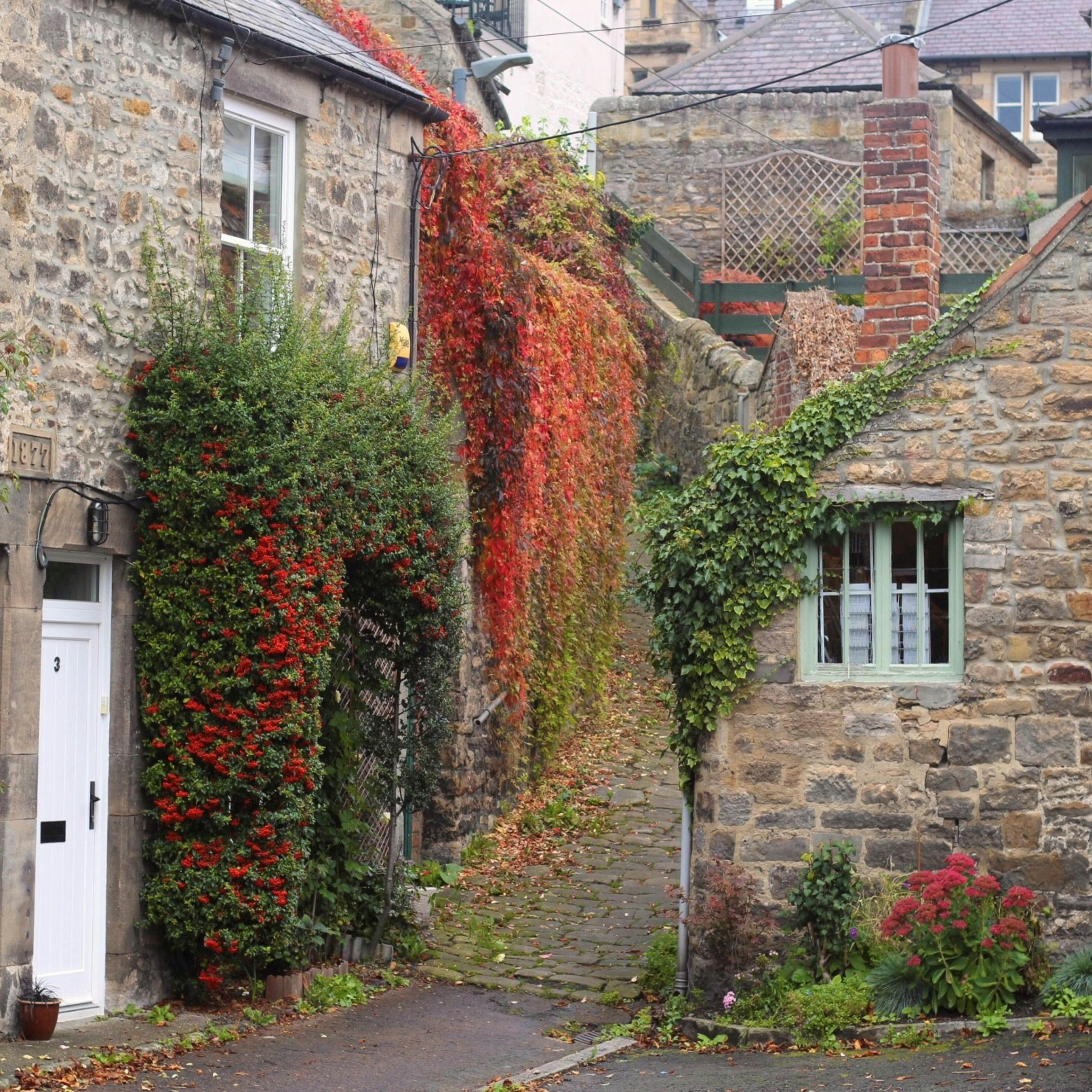 A narrow street with stone buildings covered in vines photo – Free ...