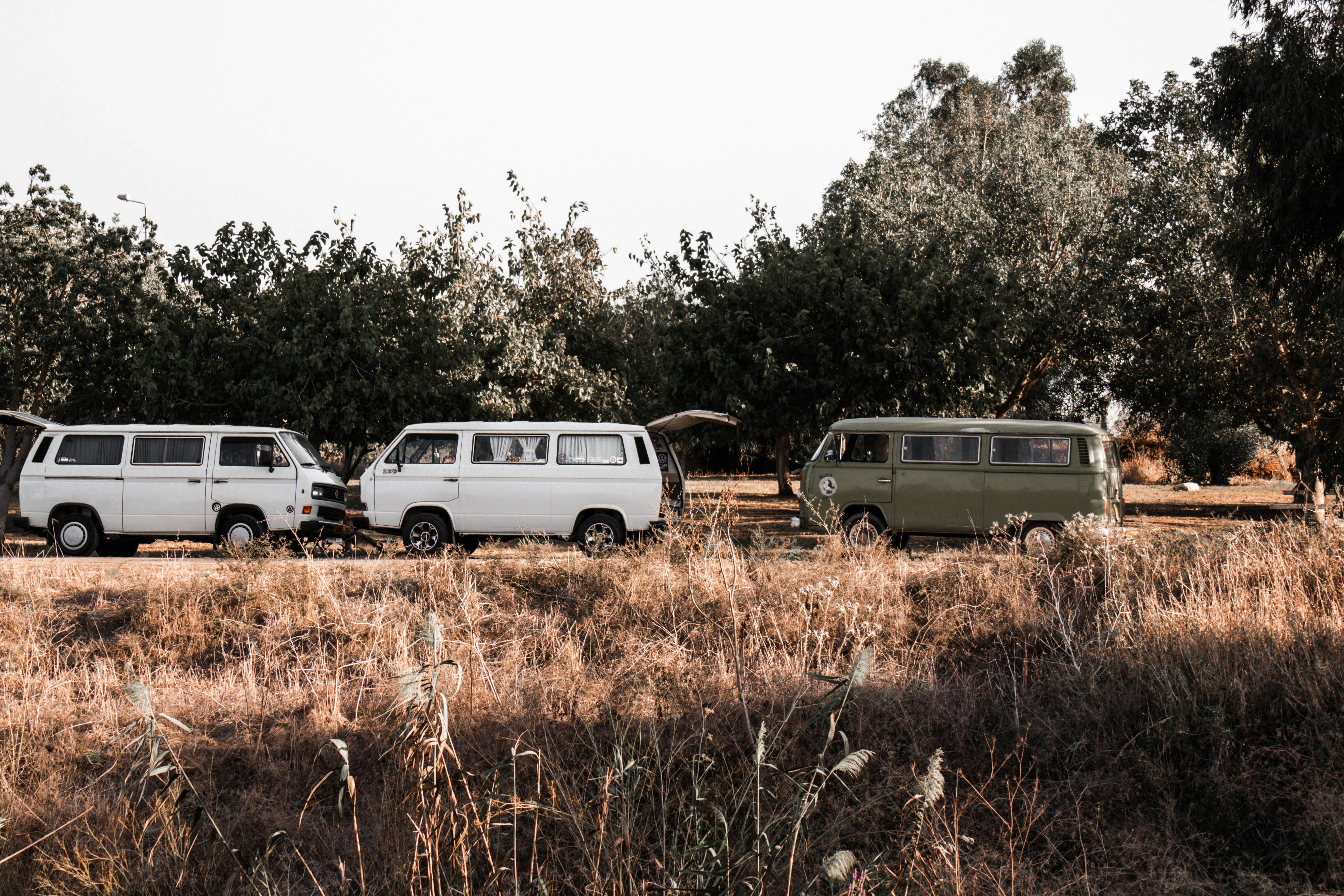 Three vans parked in a field with trees in the background photo – Free ...