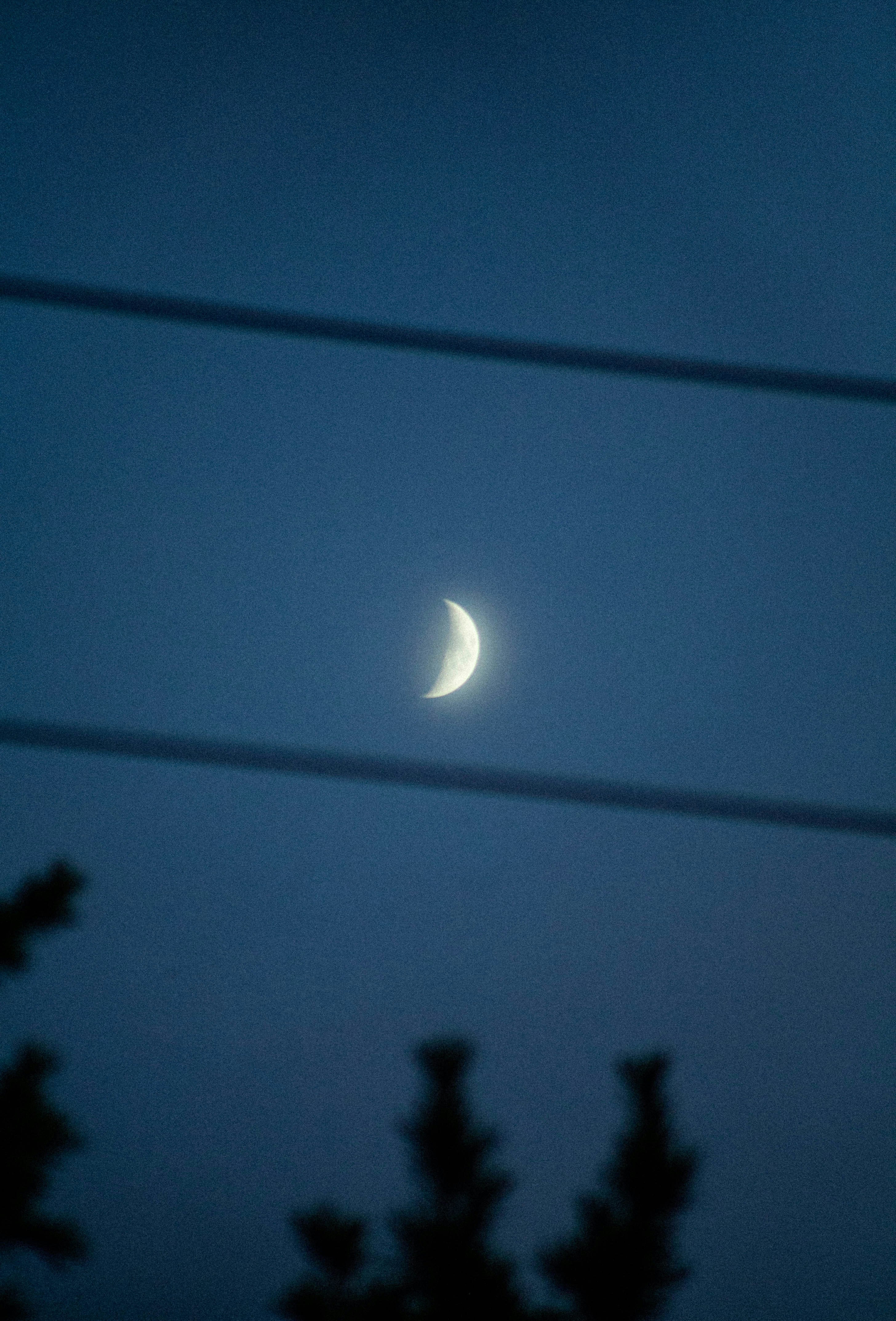 A half moon seen through power lines at night photo – Free Moon Image ...
