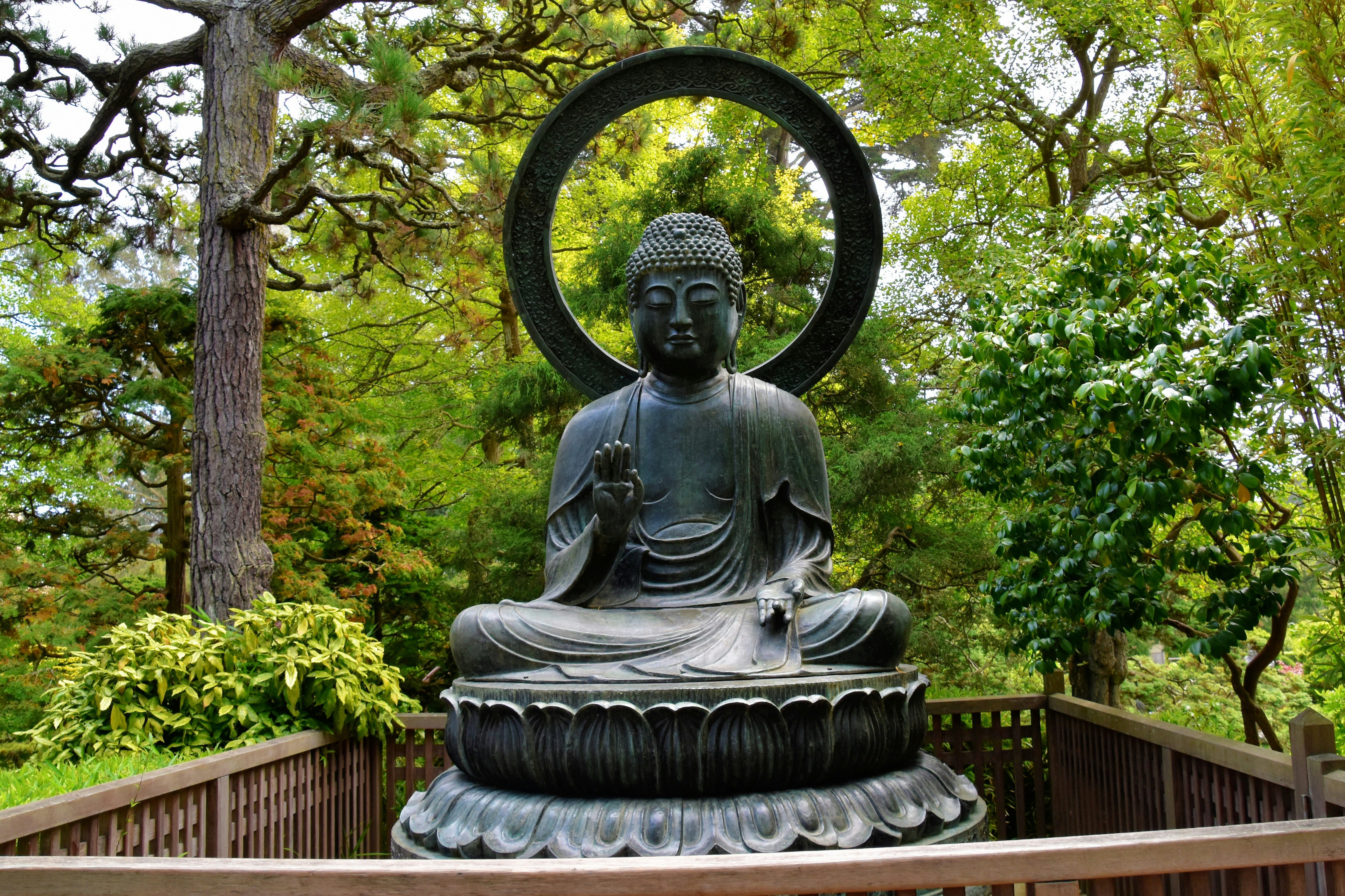 Bronze Buddha statue seated in a lush garden surrounded by vibrant green foliage.