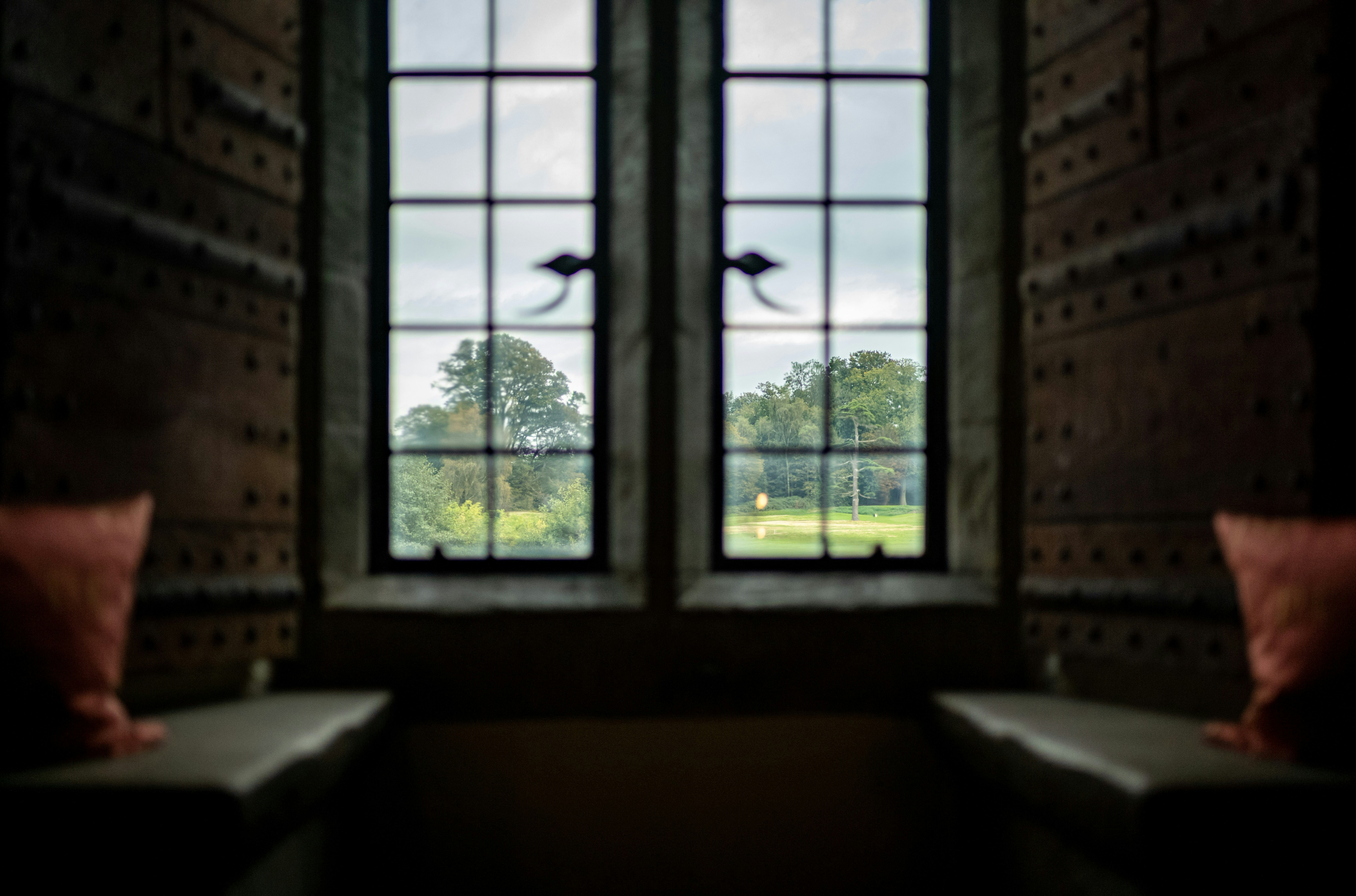 View from a vintage window showcasing a serene landscape with trees and a distant figure. Soft cushions add a cozy touch to the scene.