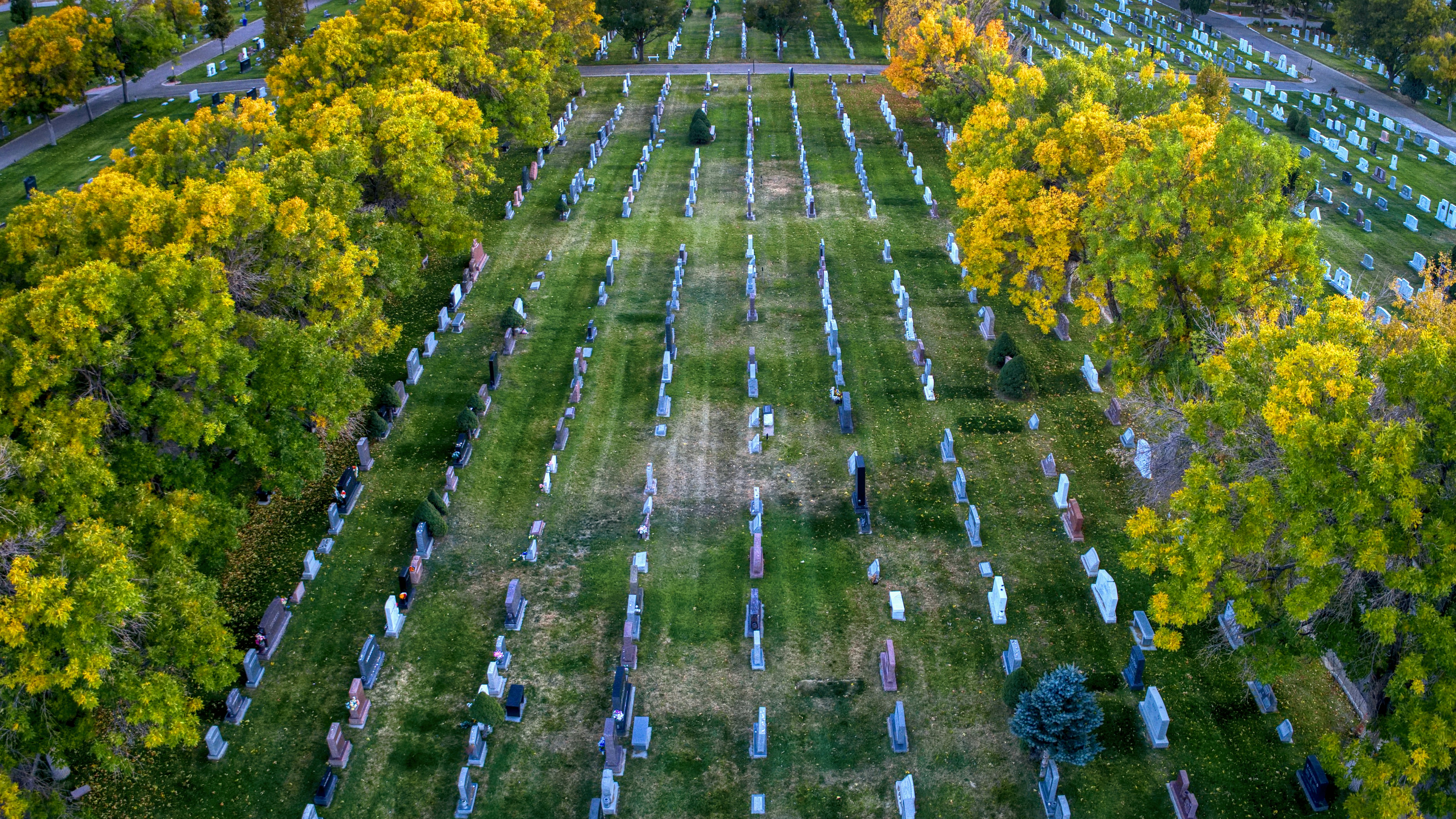 Autumn Rows: A Geometric Cemetery Under Amber Canopies