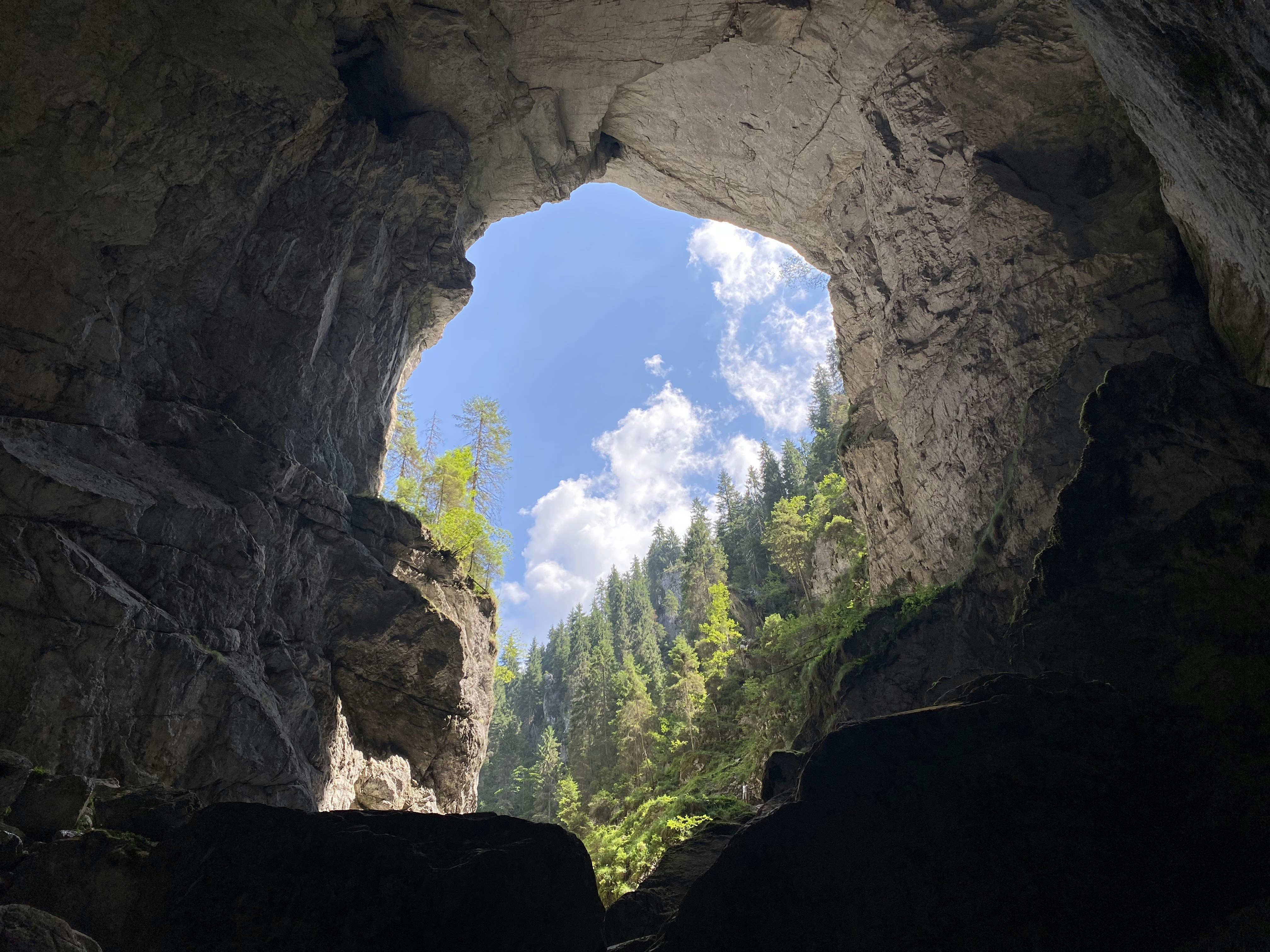Natural Window: Sunlit Cave Opening Framing a Pine Forest