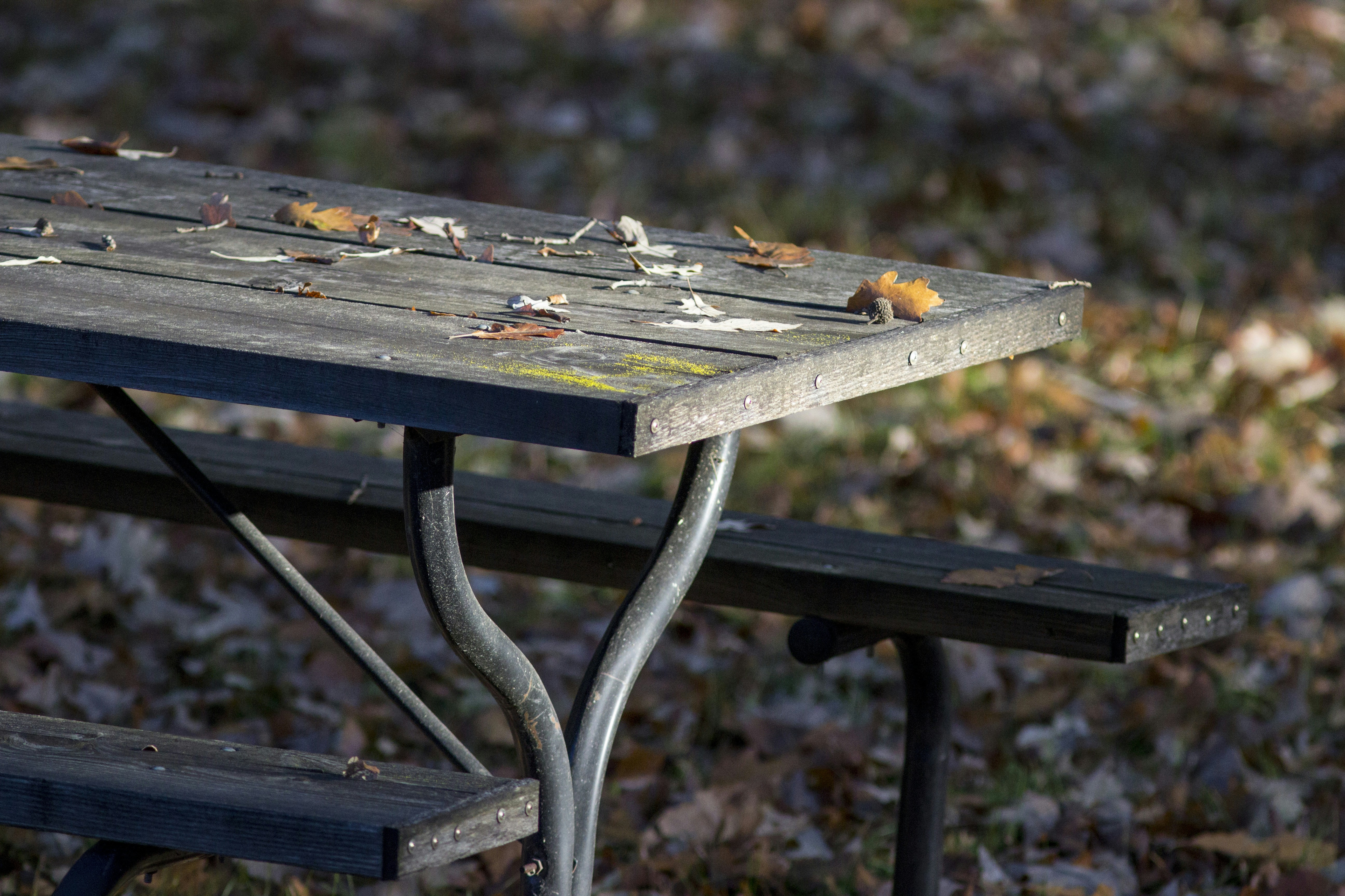 Une table en bois assise au milieu d’un champ photo – Image gratuite de ...