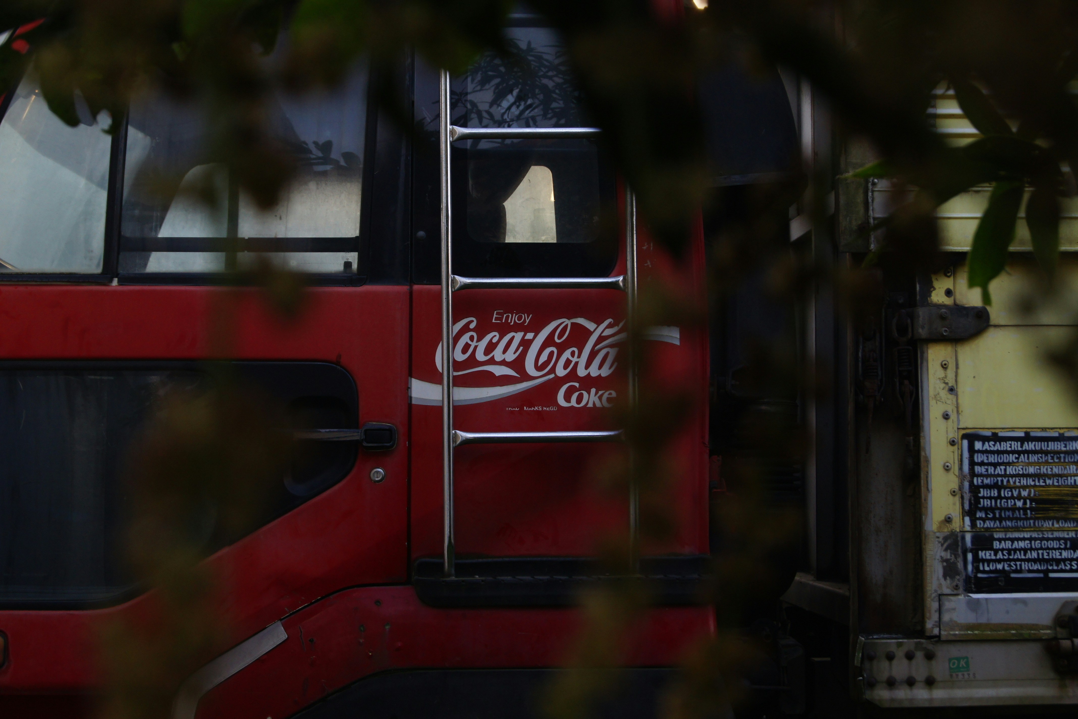 Close-up of a Coca-Cola logo on a truck, partially obscured by foliage, highlighting the intersection of branding and nature.