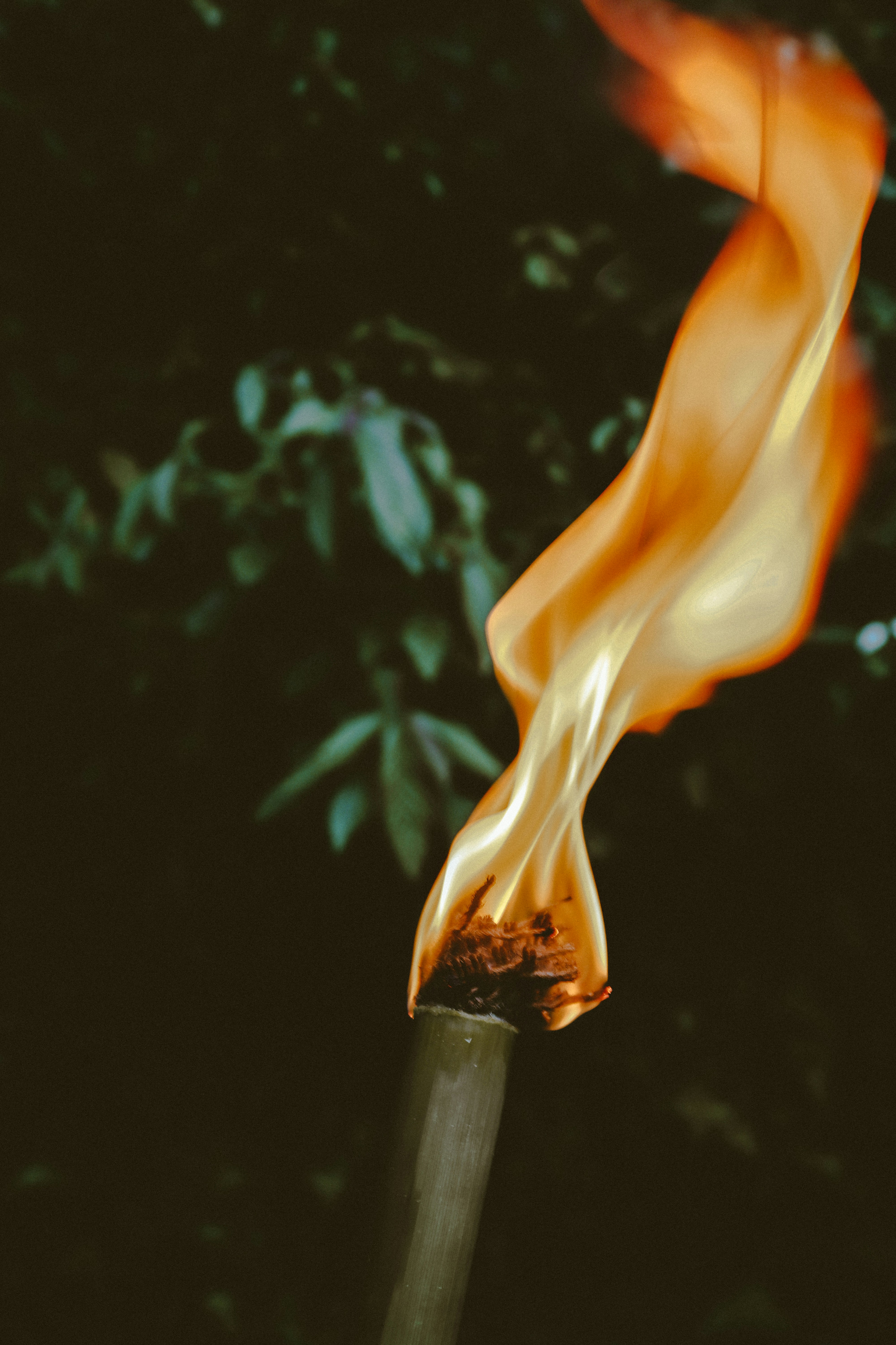 A close up of a match being lit by a match stick photo – Free Fire ...