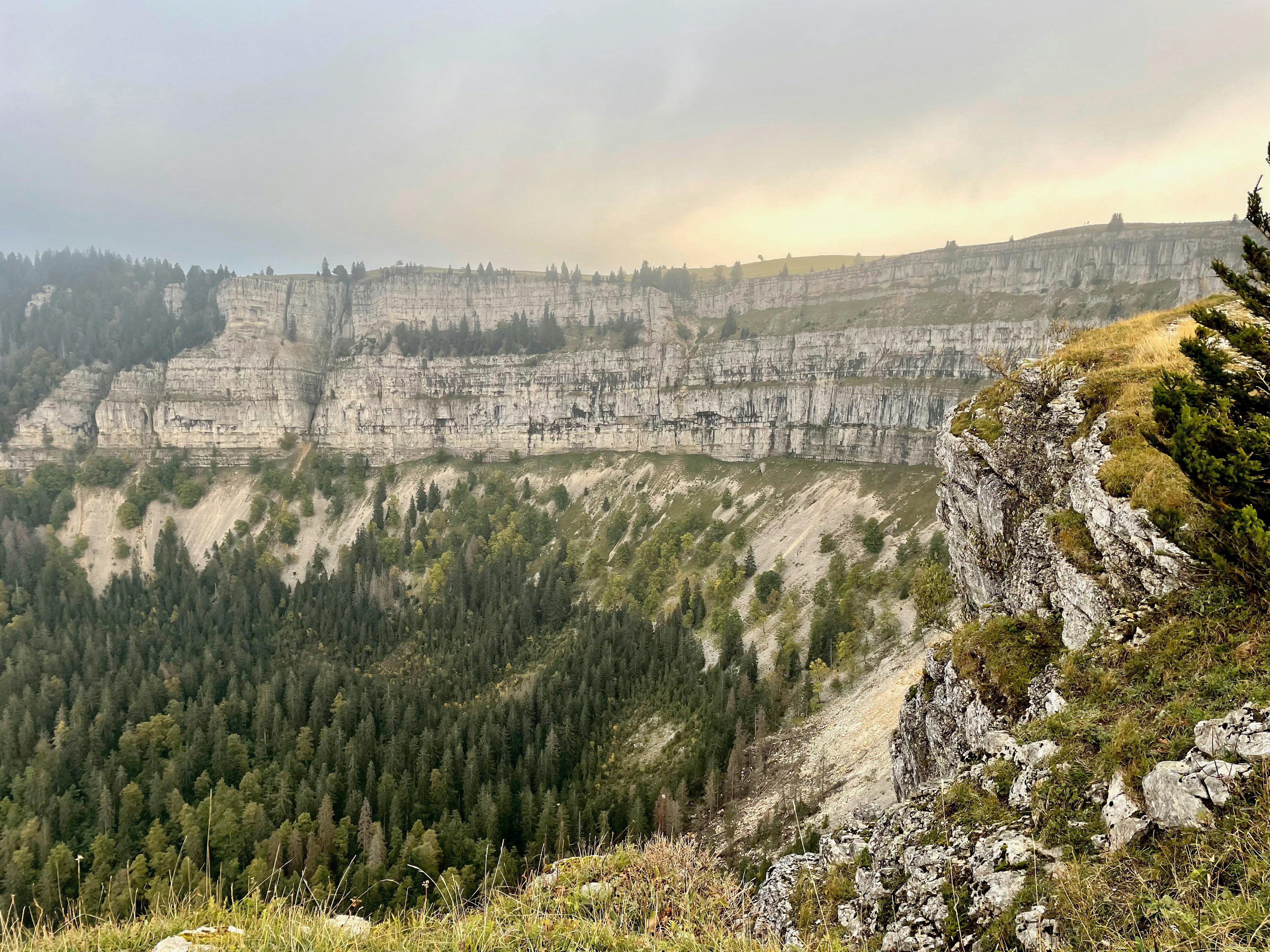 Amber Rim Overlook: Pines, Limestone Cliffs, and a Quiet Valley