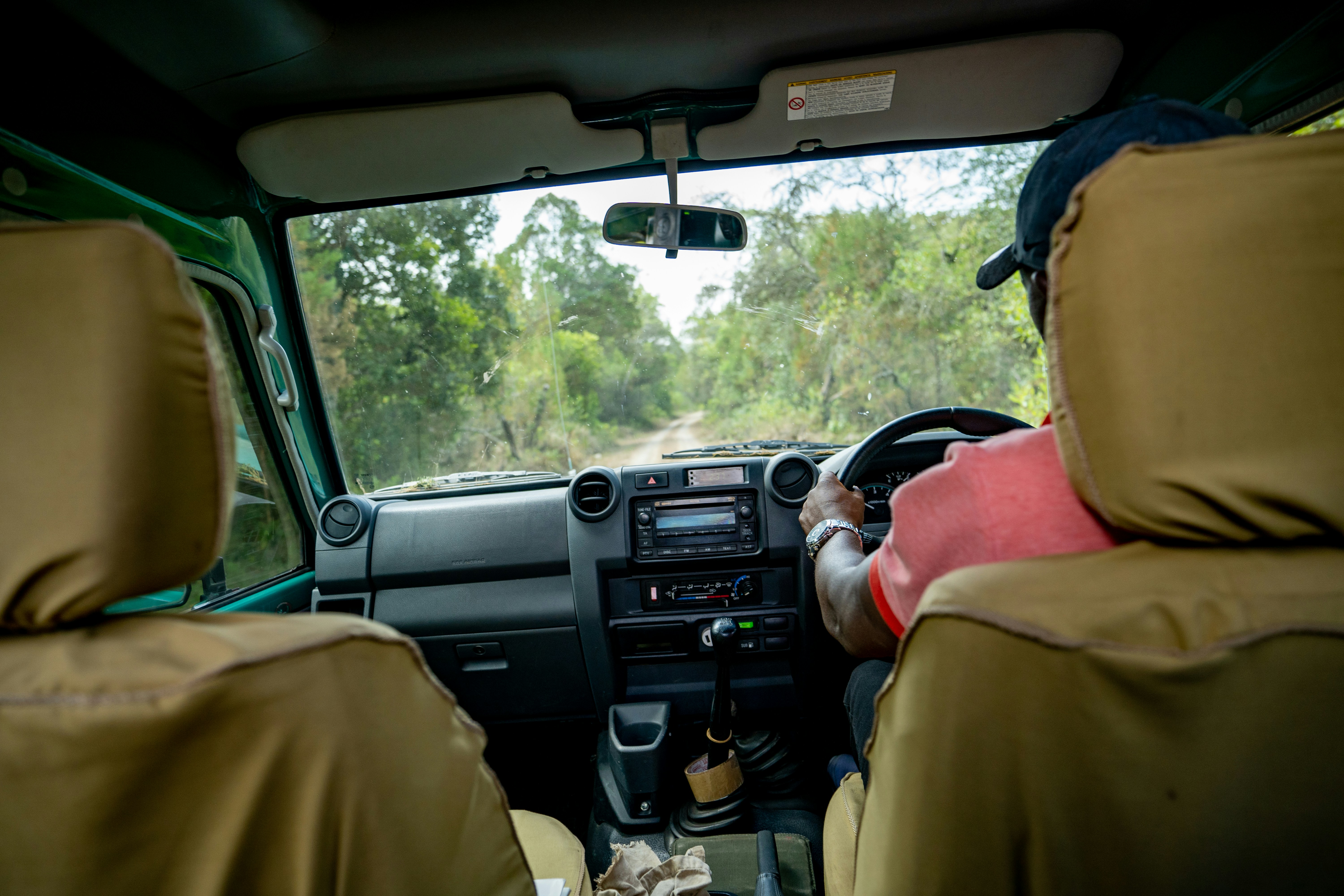 Rear-Seat Driver's View: Green Roadstead through a Worn Cab
