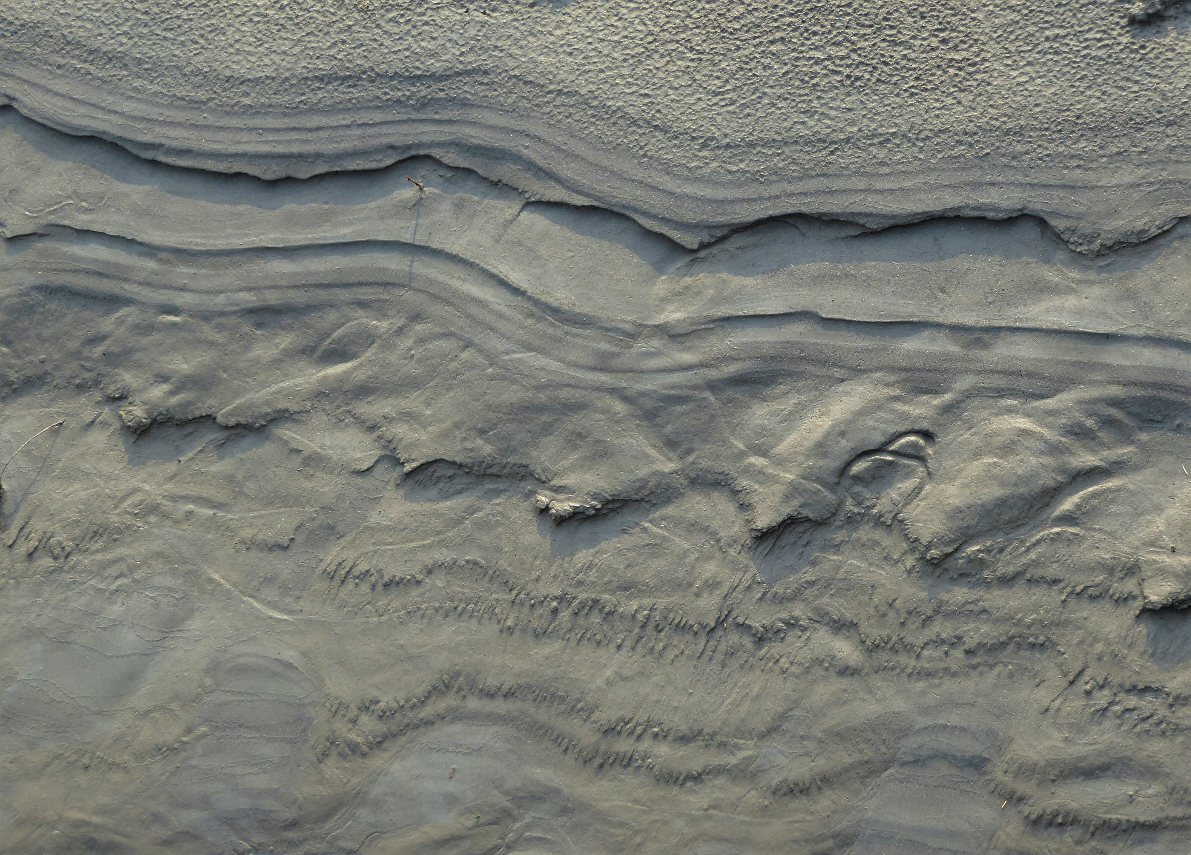 Intricate patterns of sediment and erosion on a sunlit surface, showcasing the natural artistry of the earth's layers.