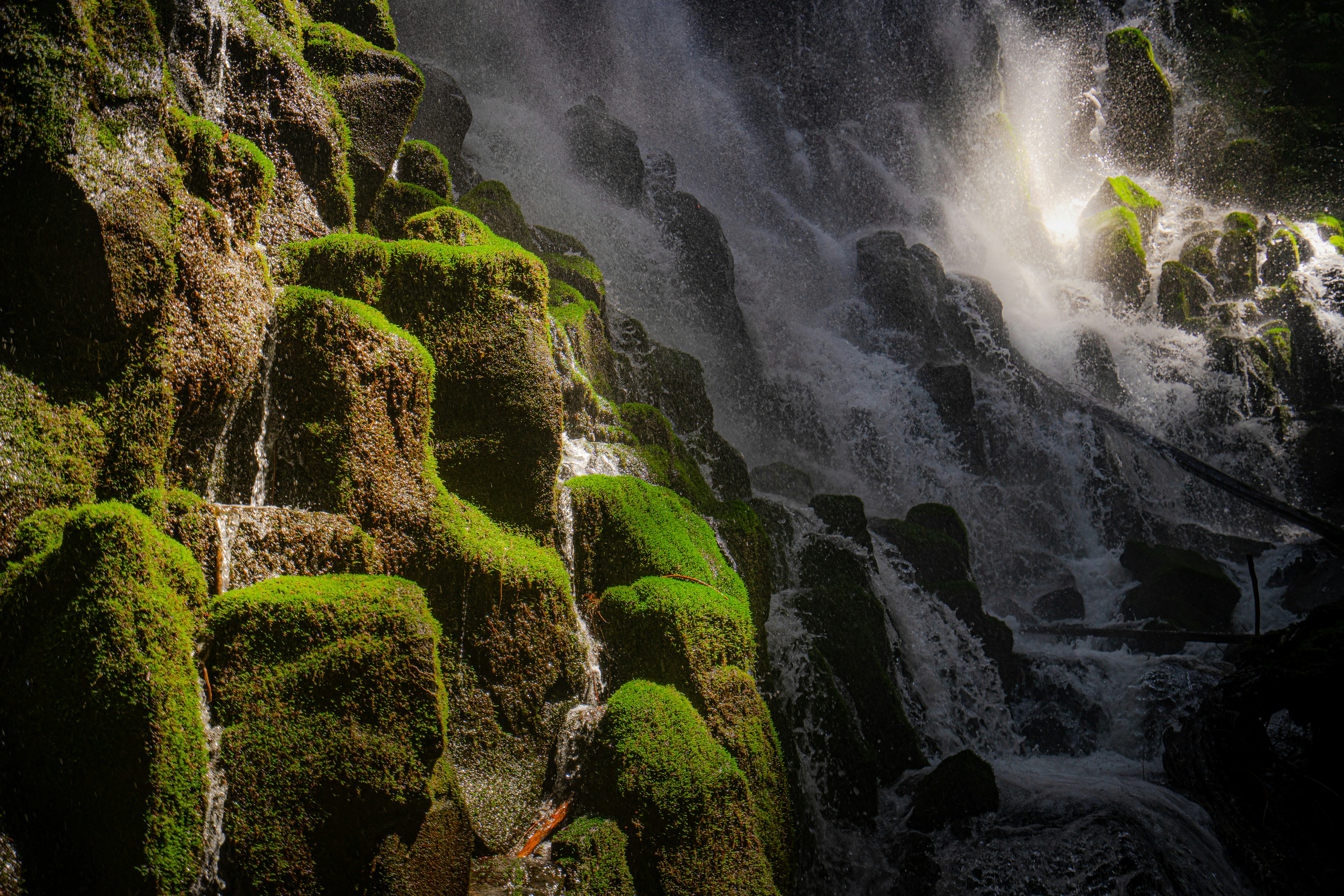 Une cascade avec de la mousse poussant sur les rochers photo – Photo La ...