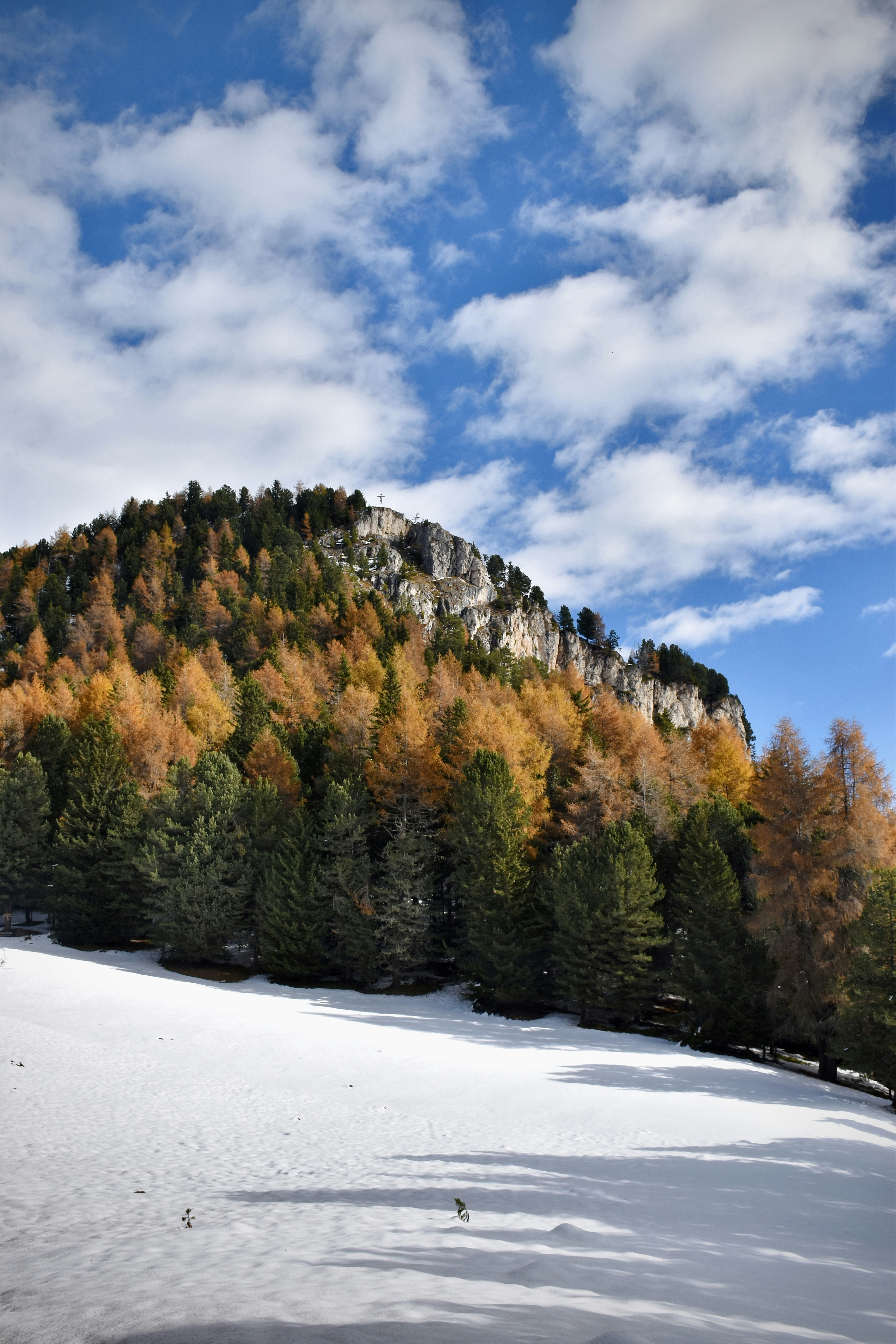 Rocky Crest Crowned by Autumn Pines Over a Snowfield
