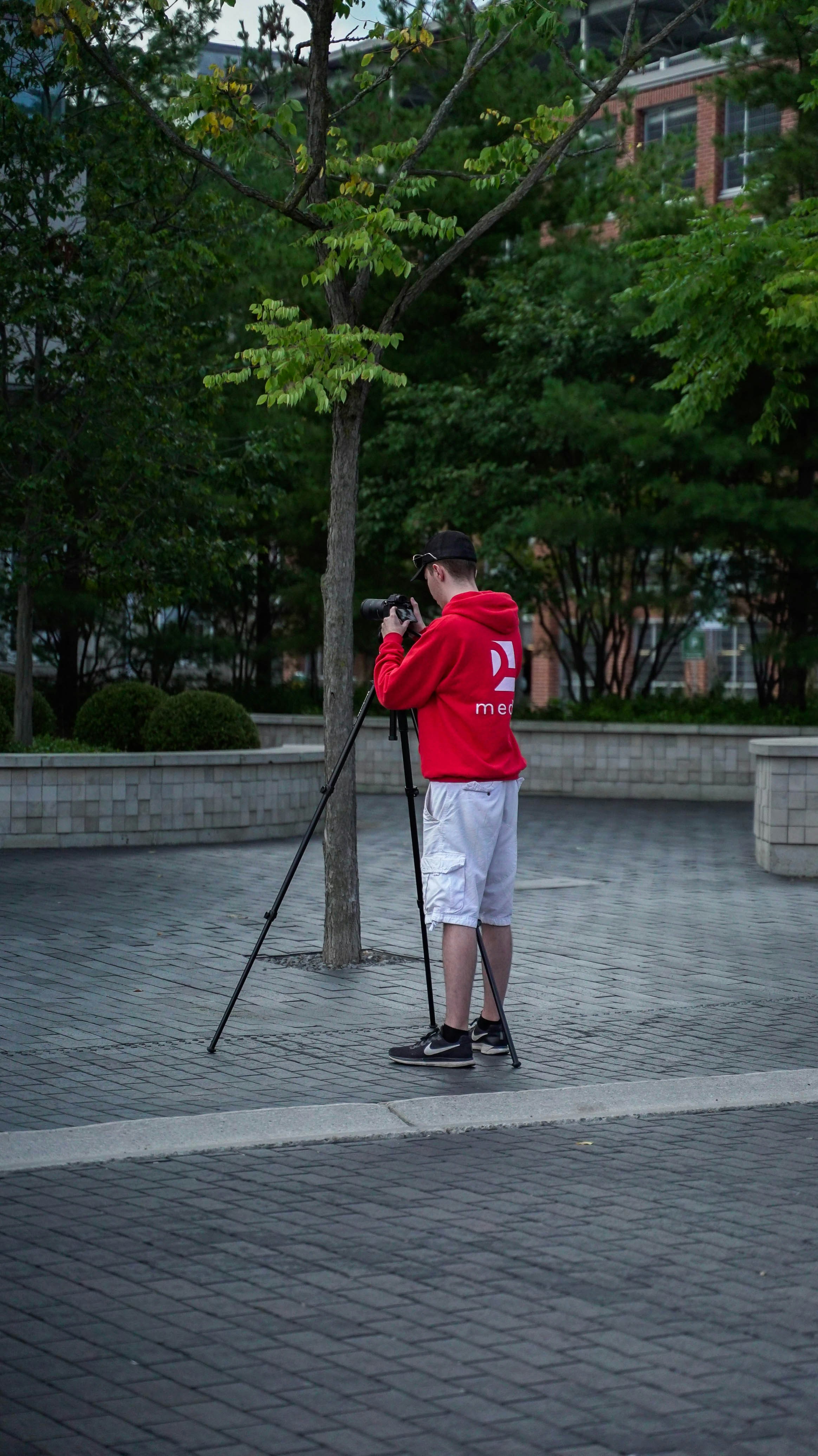 Red-Hooded Photographer in a Tree-Lined Plaza, Steadying a Tripod