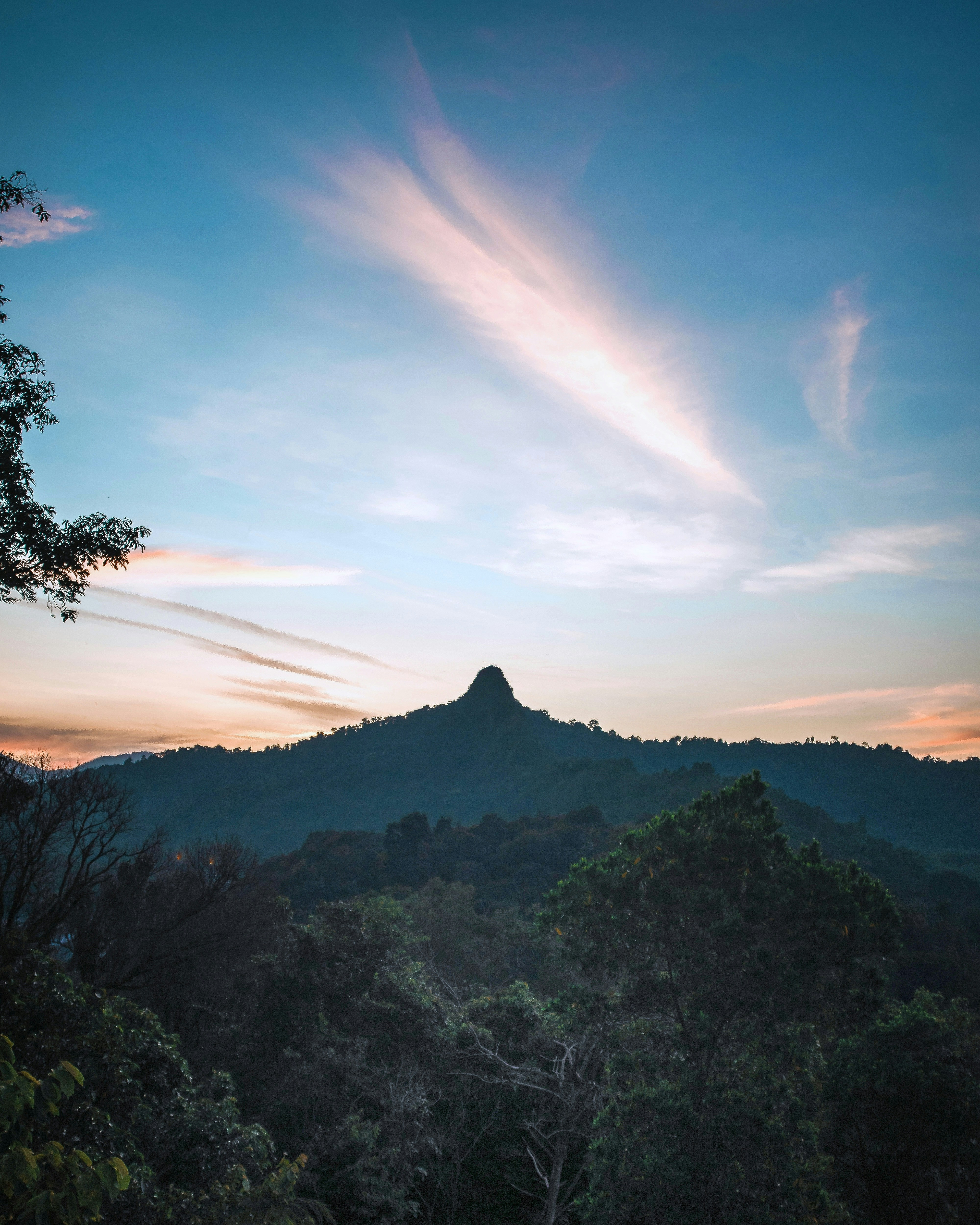 Bukit Burung Fotos | Baixe imagens gratuitas na Unsplash