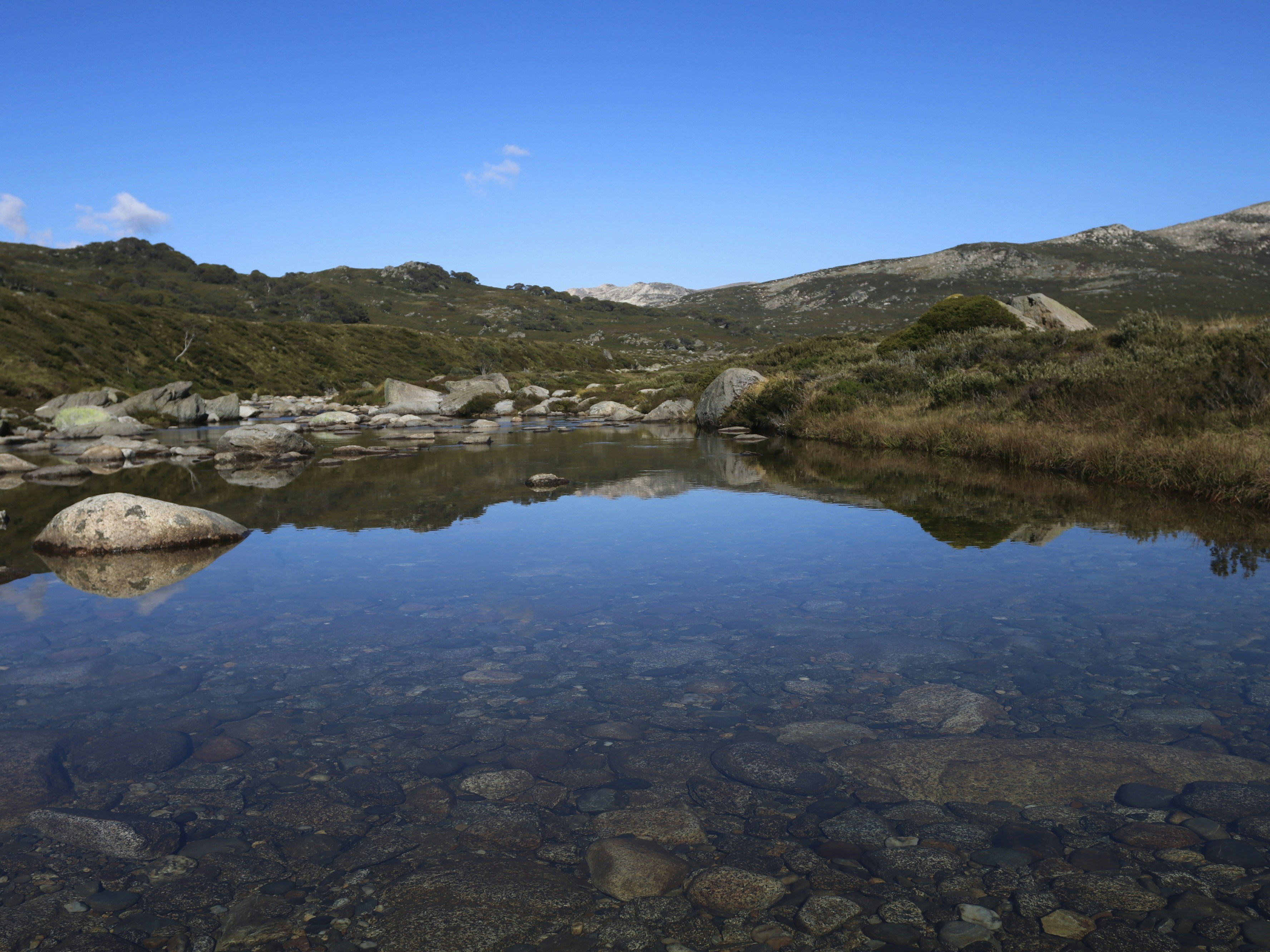 Melbourne Parks and Gardens: The City's Best Outdoor Spaces