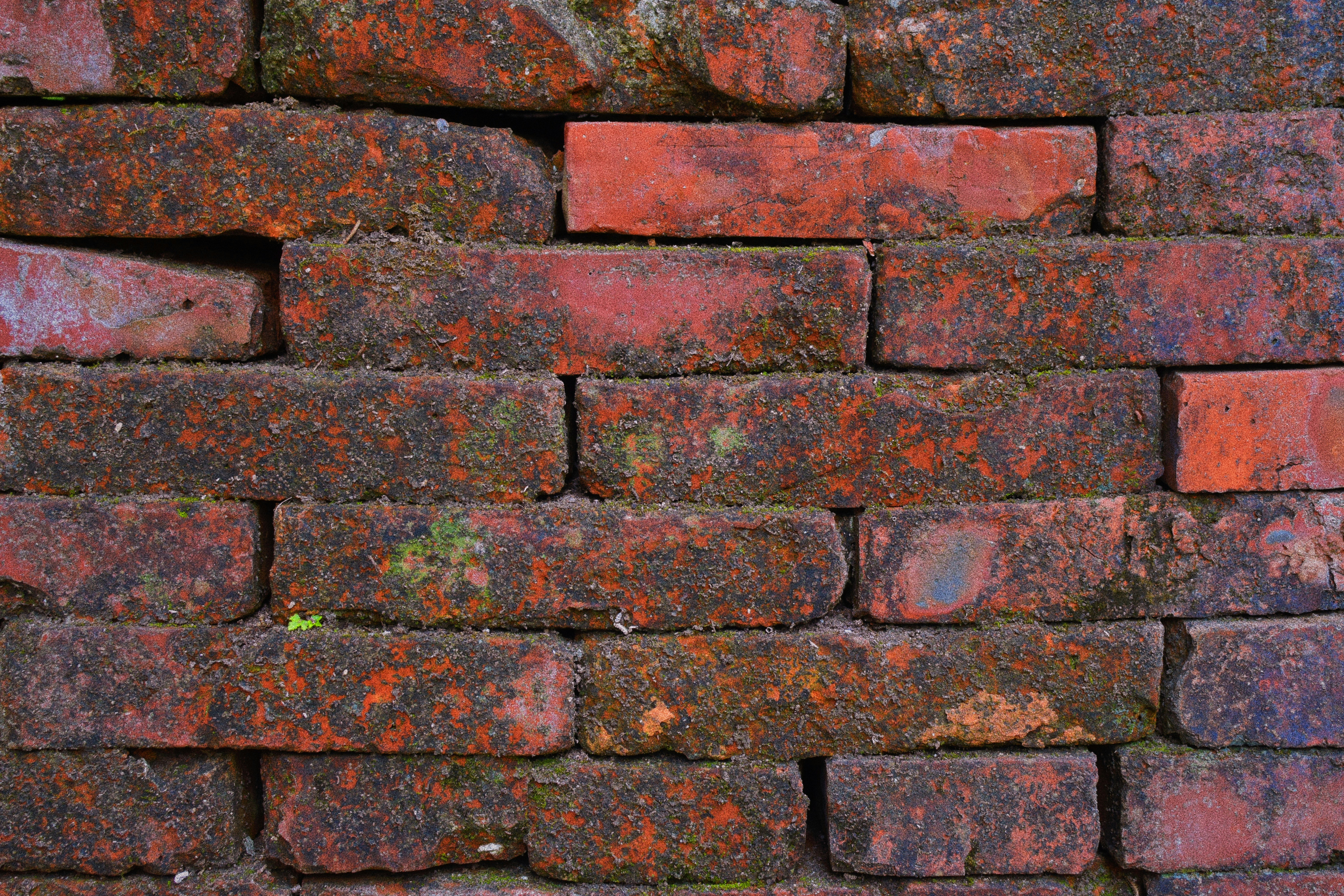 Close-up of a weathered brick wall showcasing various textures and colors, with signs of moss and age. The composition emphasizes the unique characteristics of each brick.