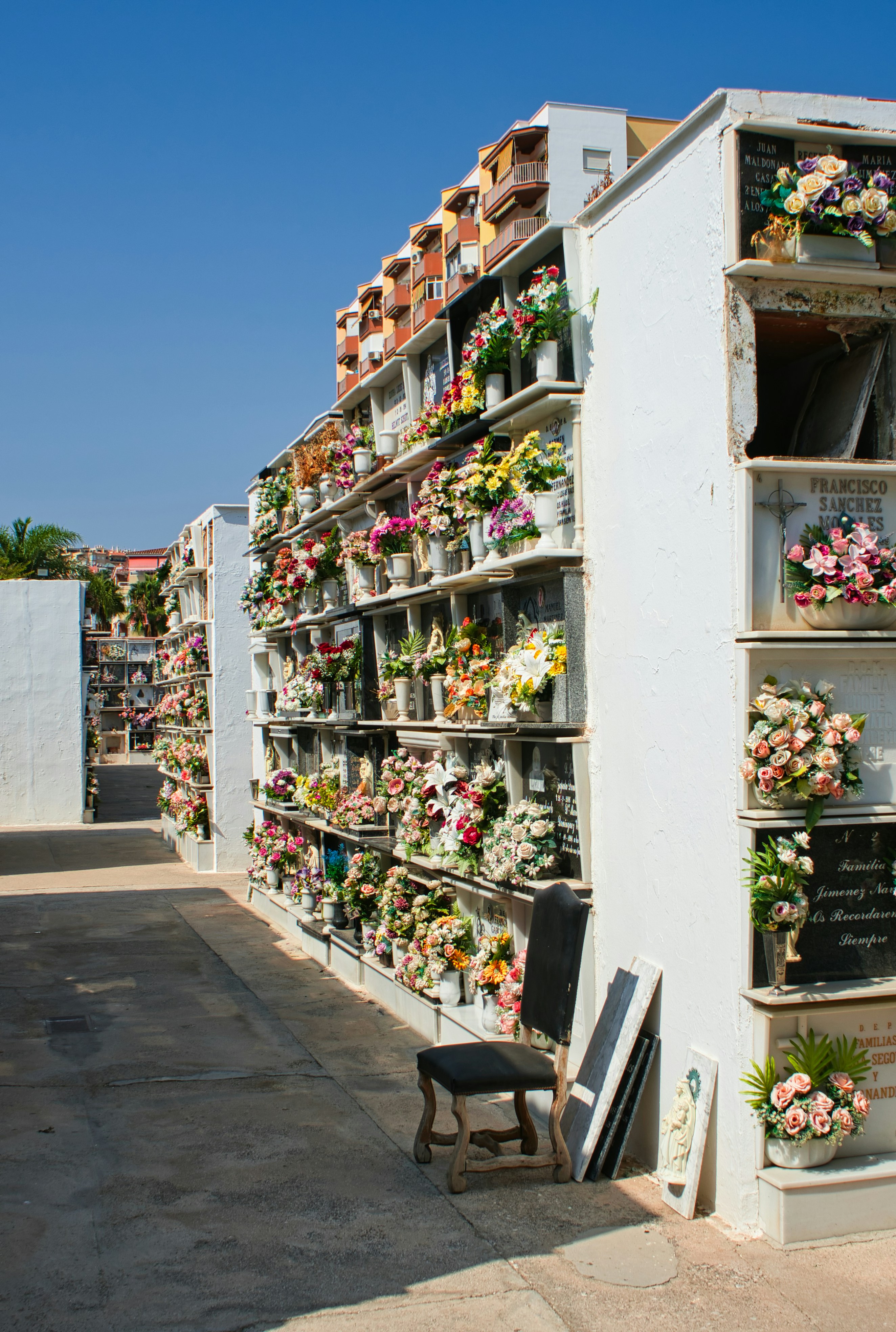 Sunlit Memorial Alley: Bouquets Crowning a Wall of Niches
