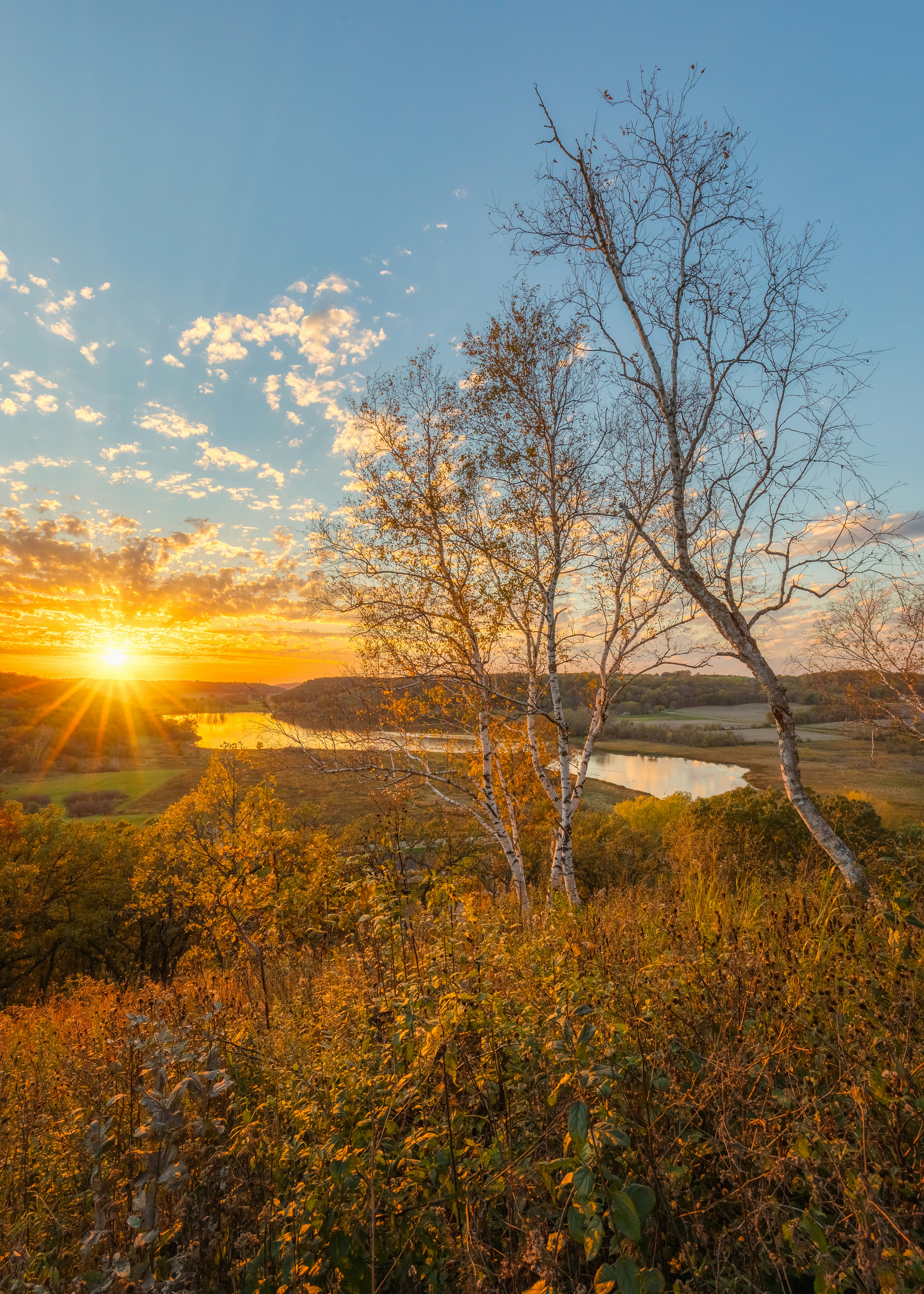 Person Plain Background Pictures | Download Free Images on Unsplash