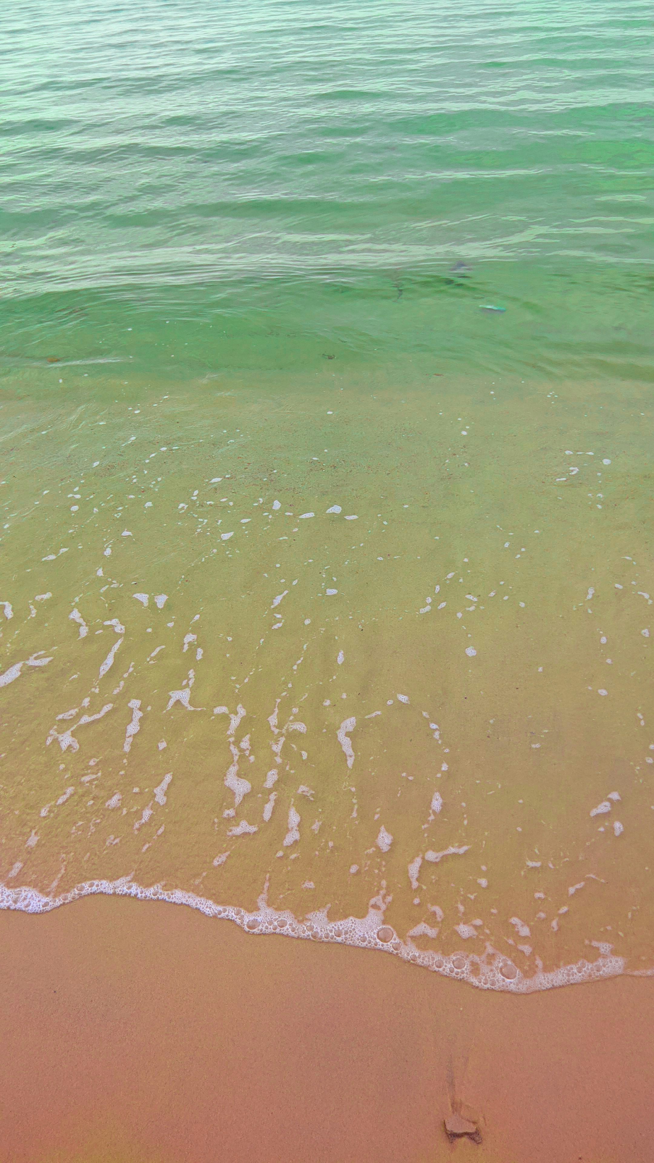 Colored shoreline: pastel waves meeting a sunlit beach