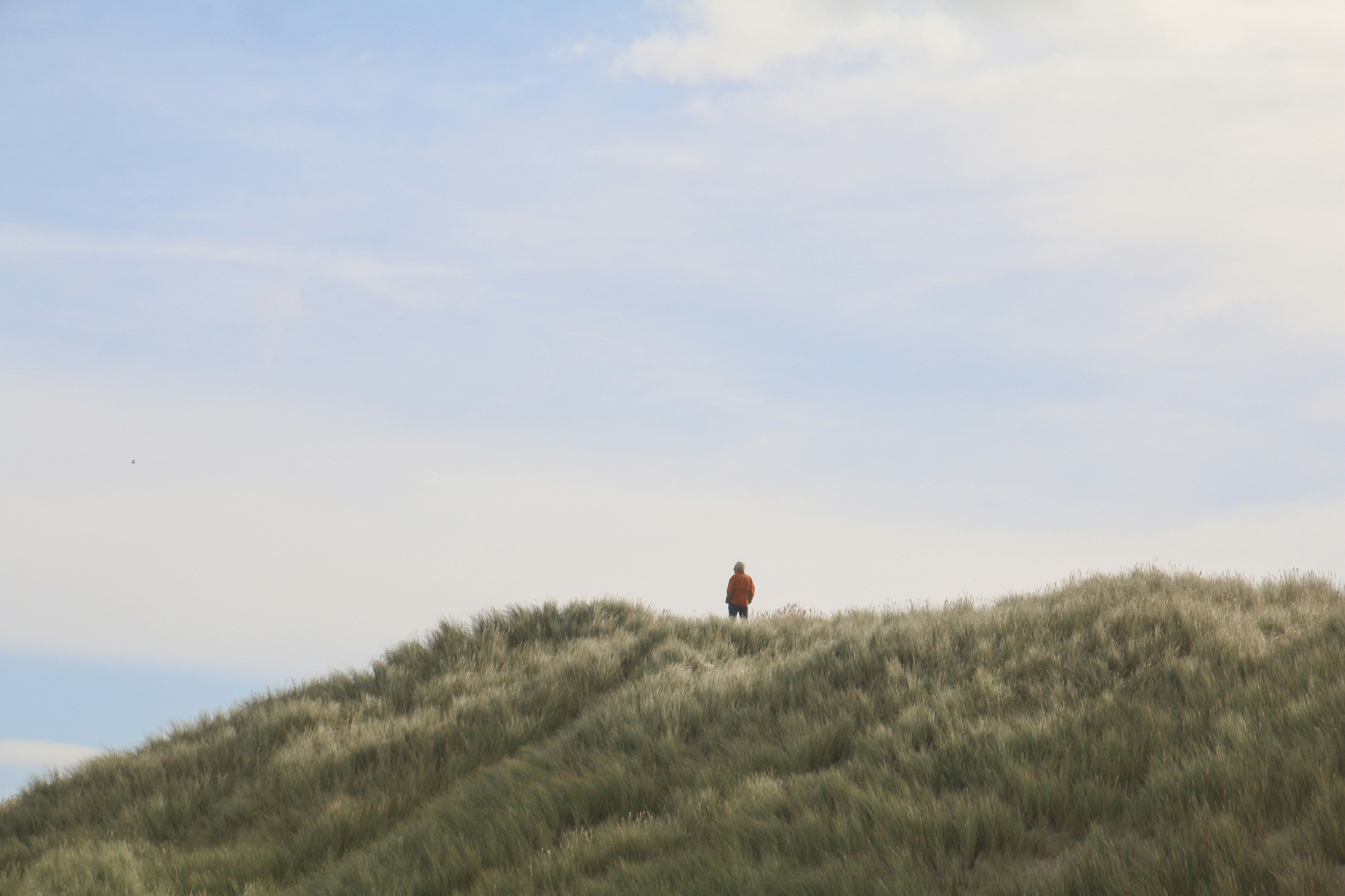 a person standing on top of a grass covered hill