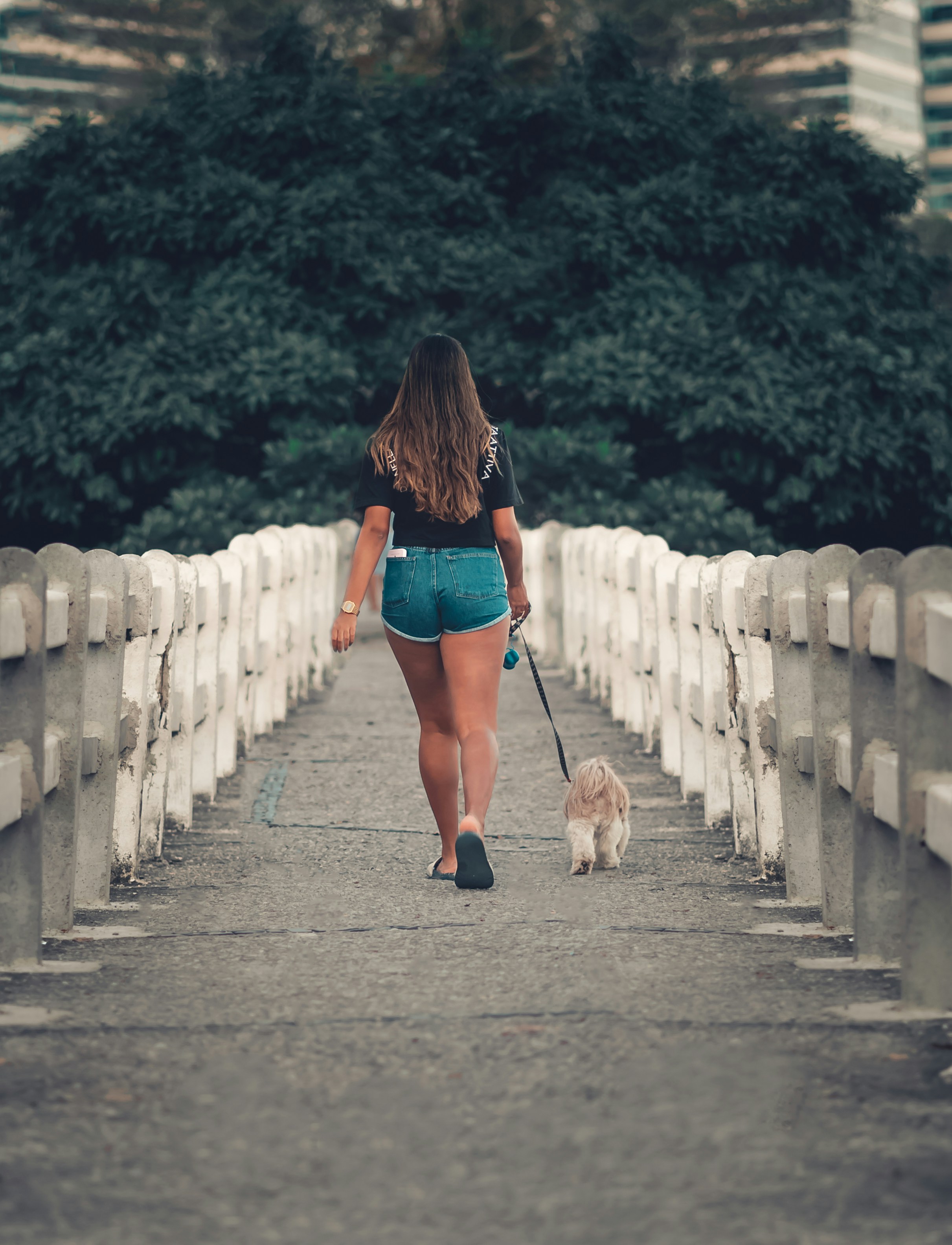 Woman walking her dog along a concrete path, framed by lush greenery on either side. The scene captures a moment of tranquility and connection.