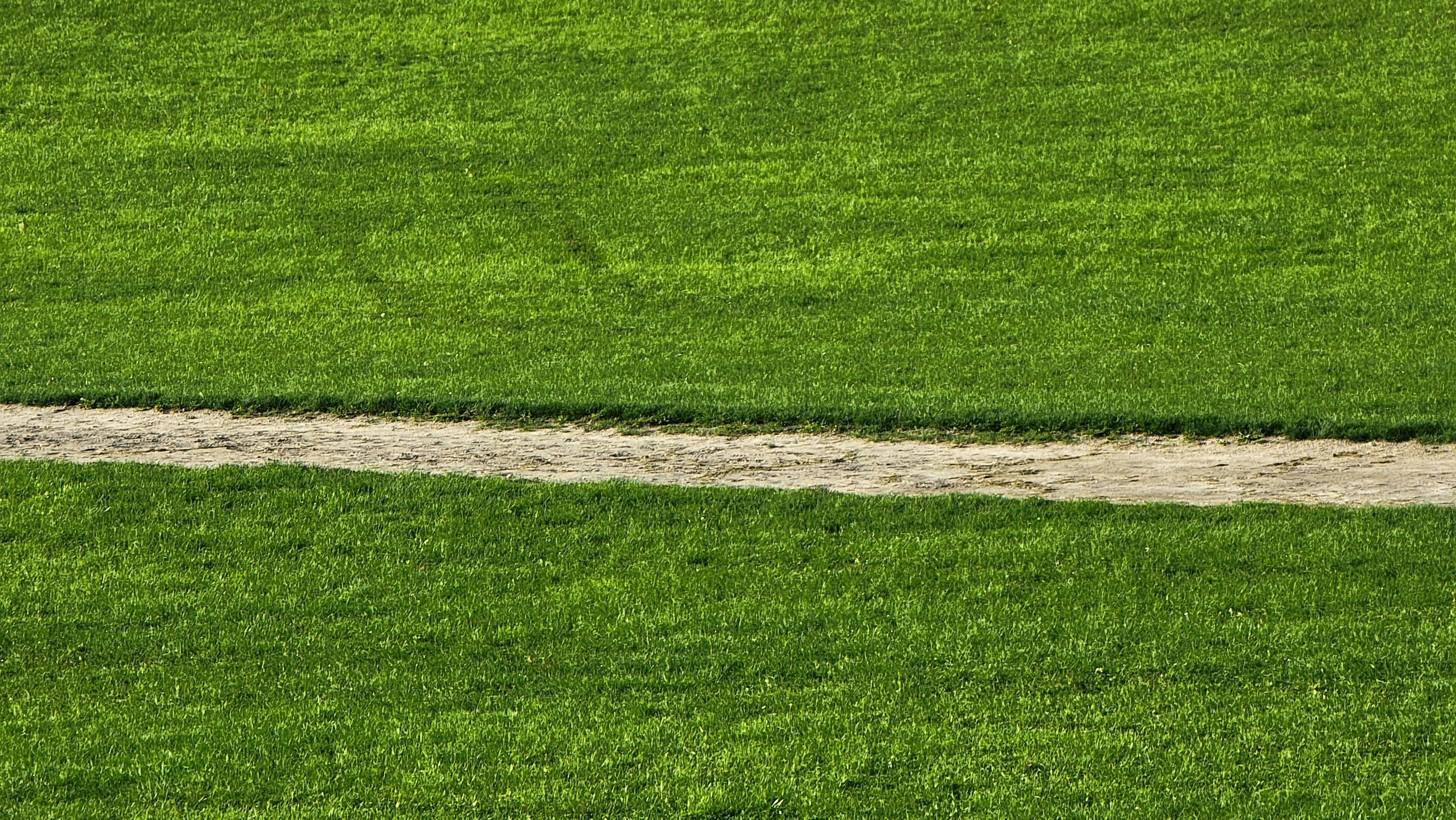 A baseball player walking across a lush green field photo – Free Grass ...
