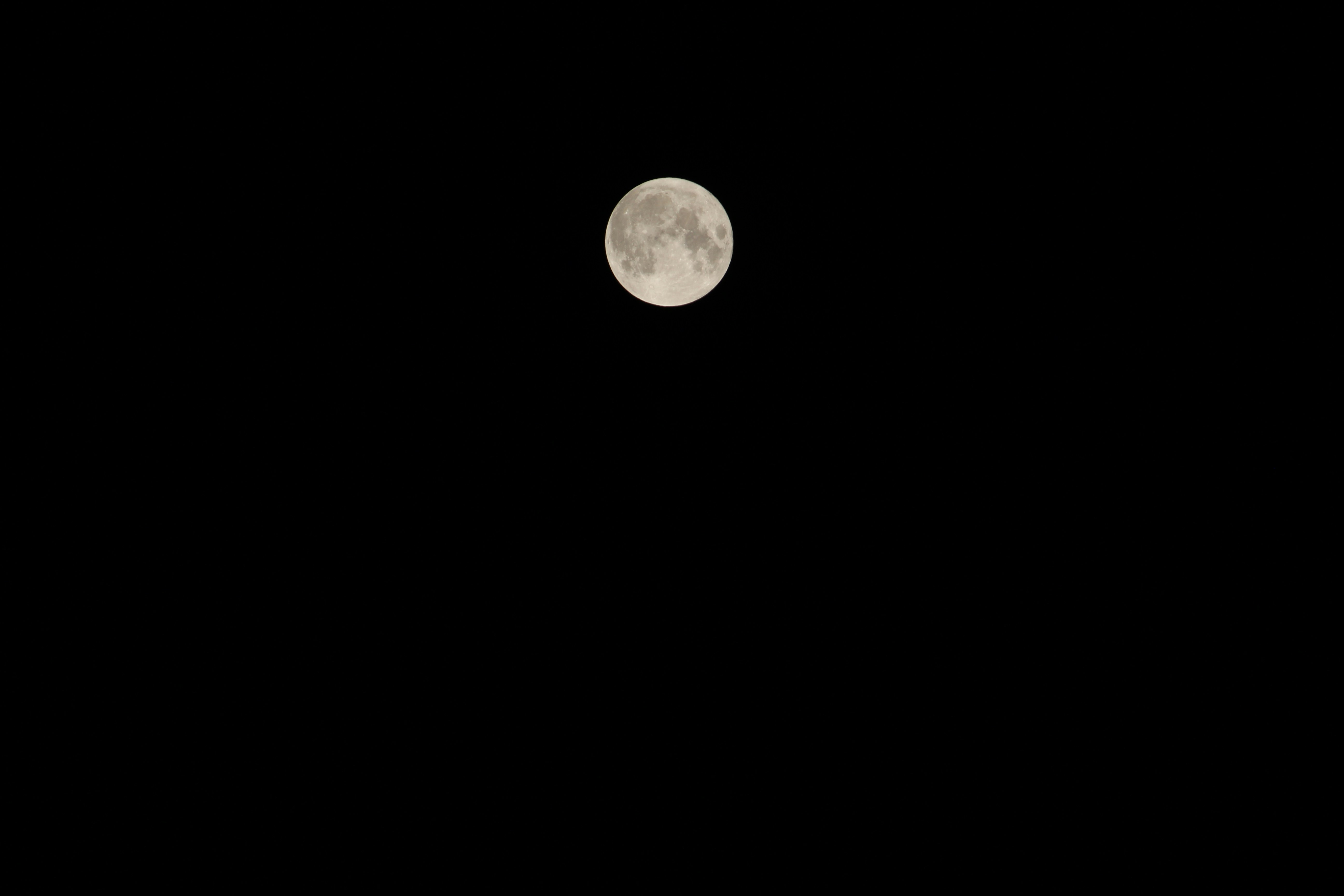 Jeshika Sinojia (@iamjeshika) | Unsplash Photo Community