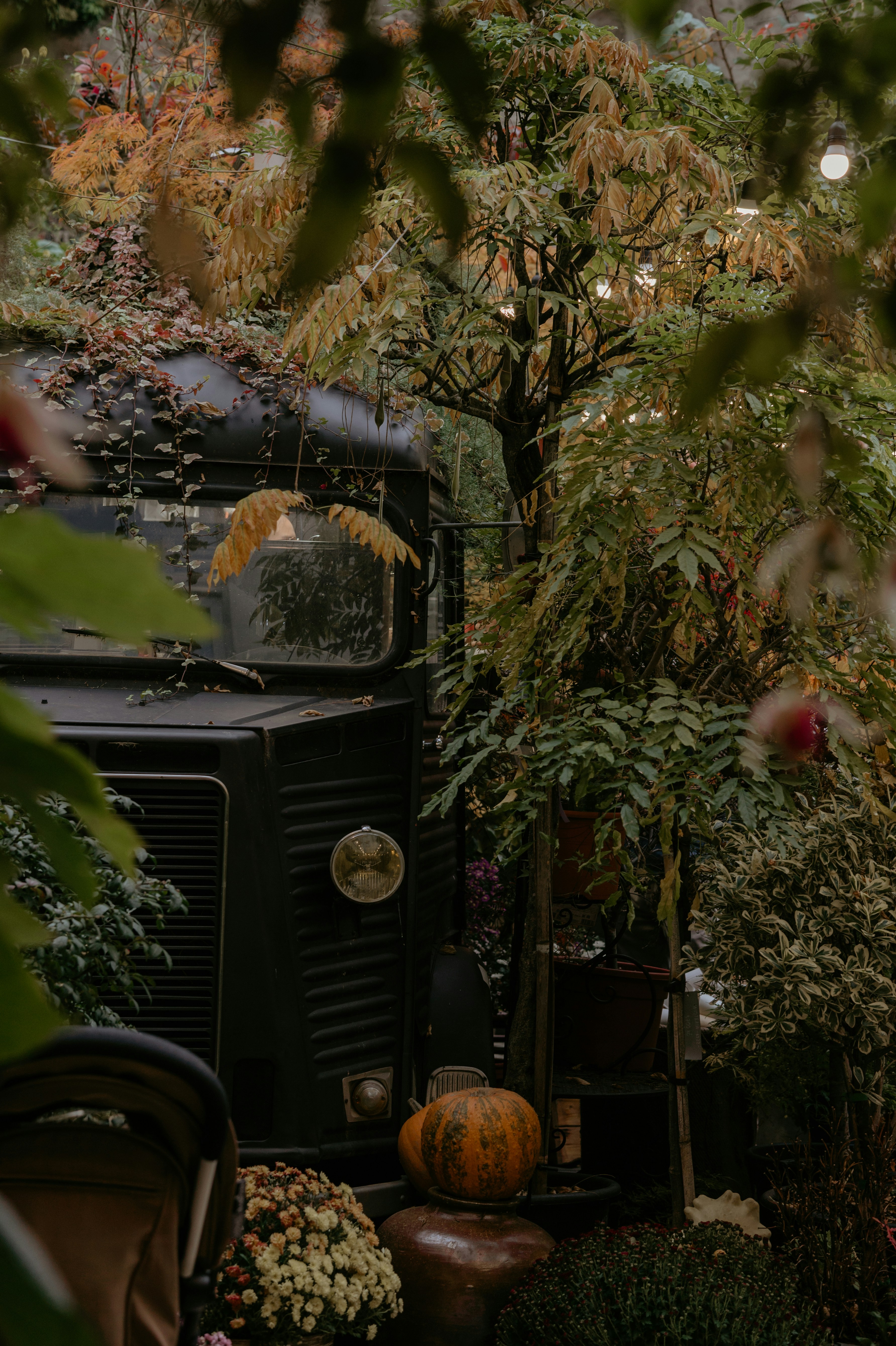 an old truck is parked in the middle of a garden
