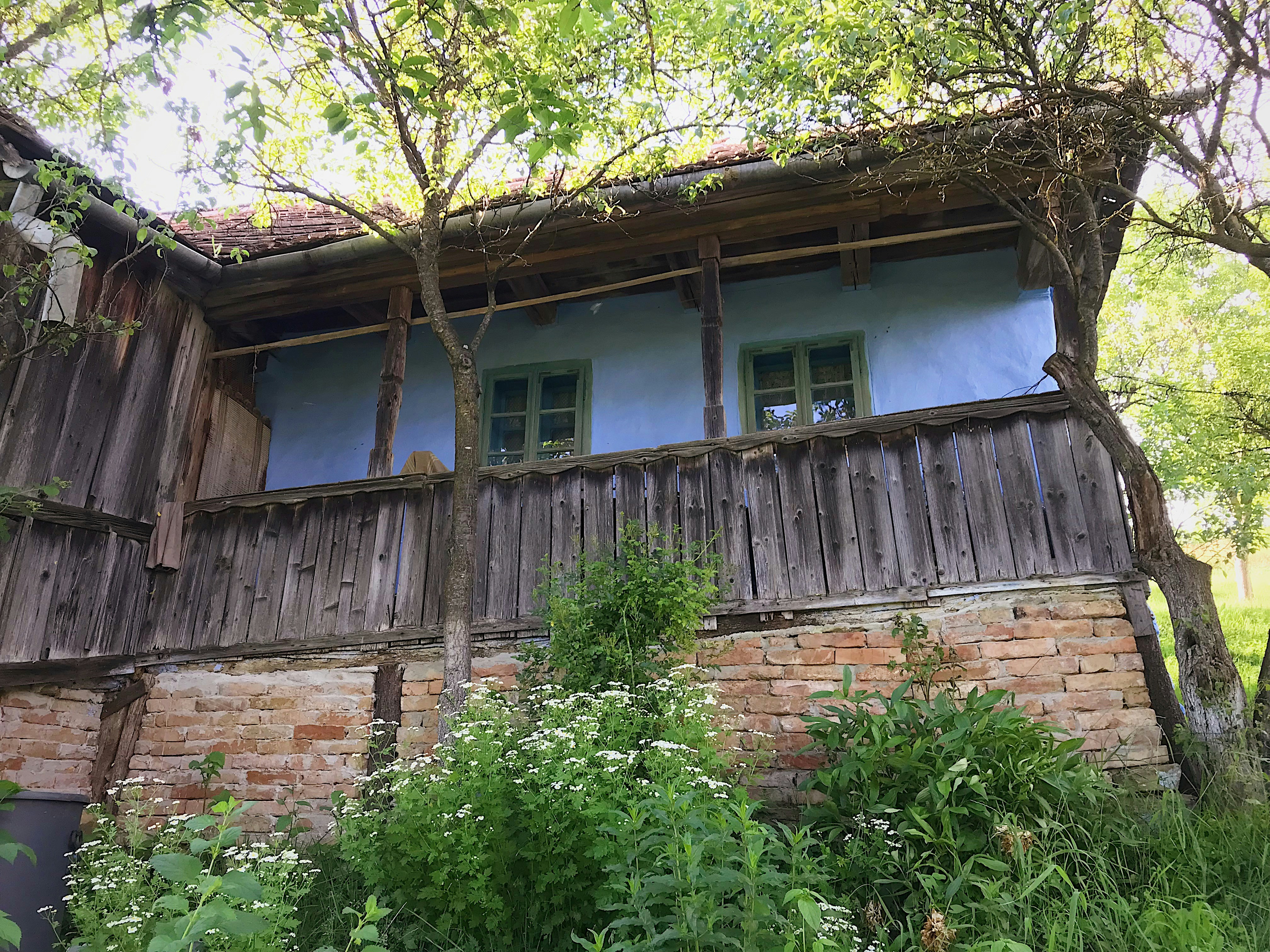 Old wooden house with blue walls nestled among lush greenery under dappled sunlight.