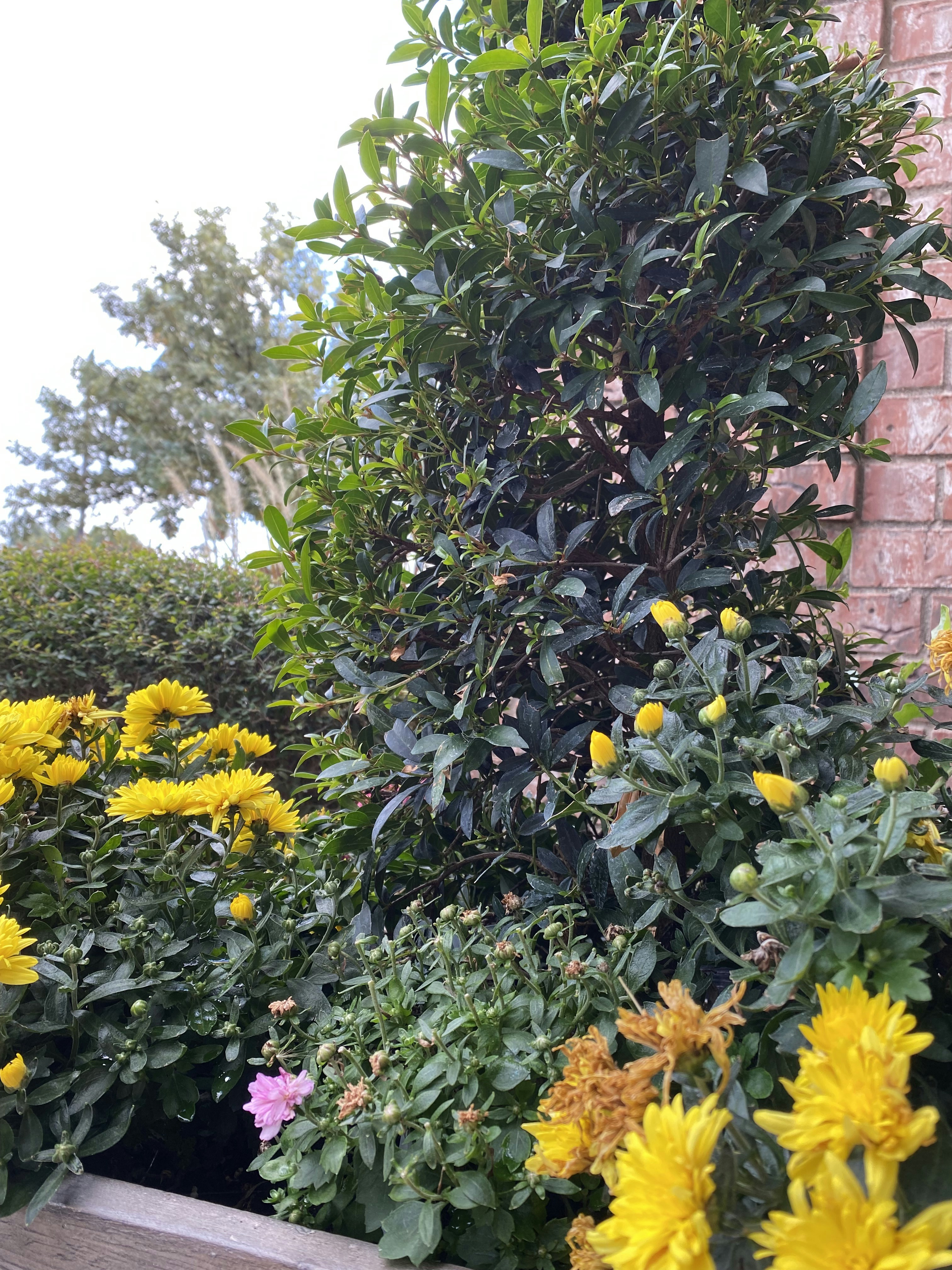 carsyn Damron (@carsyndamron) | Comunidade de fotos da Unsplash