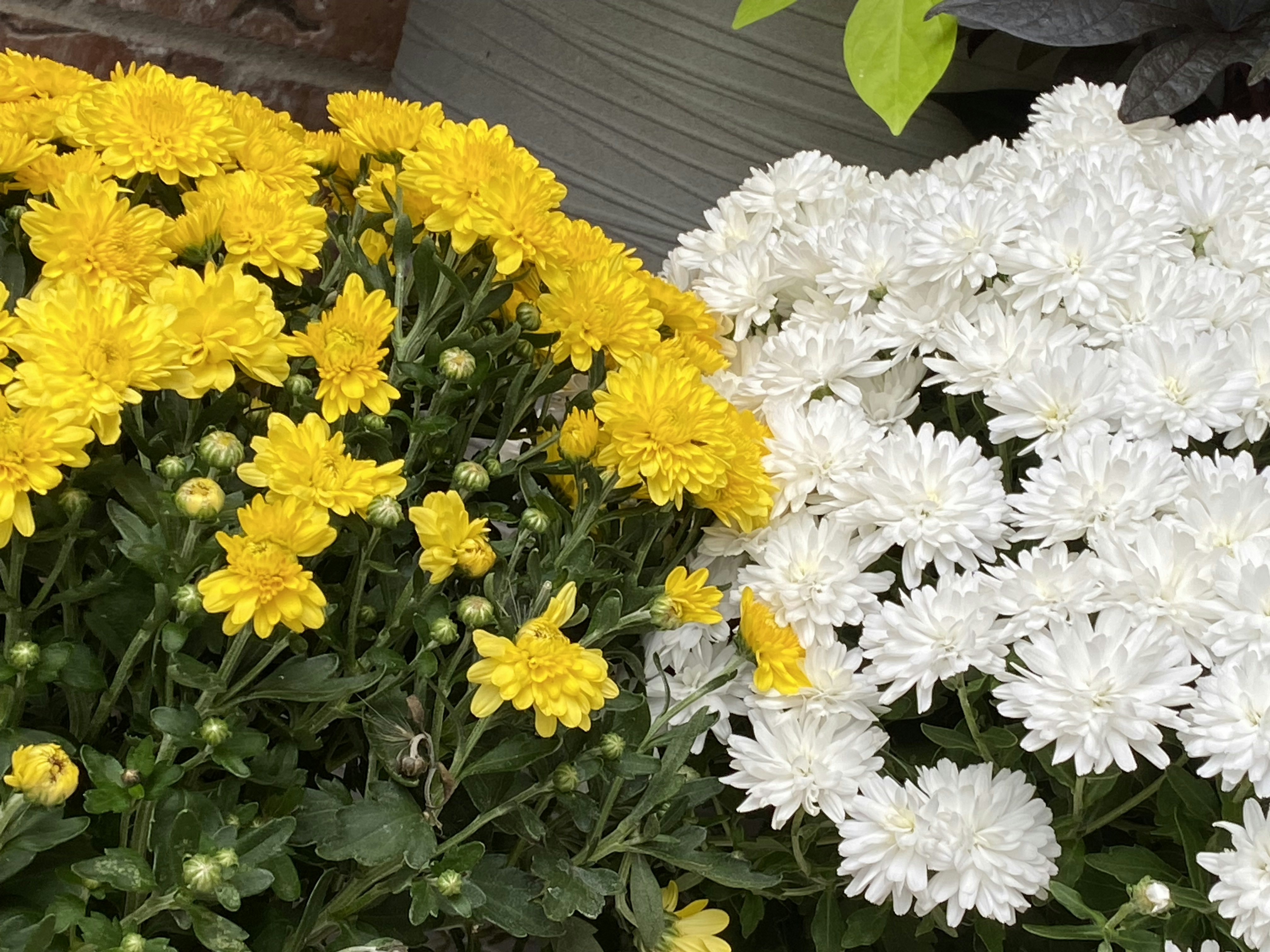 carsyn Damron (@carsyndamron) | Unsplash 사진 커뮤니티