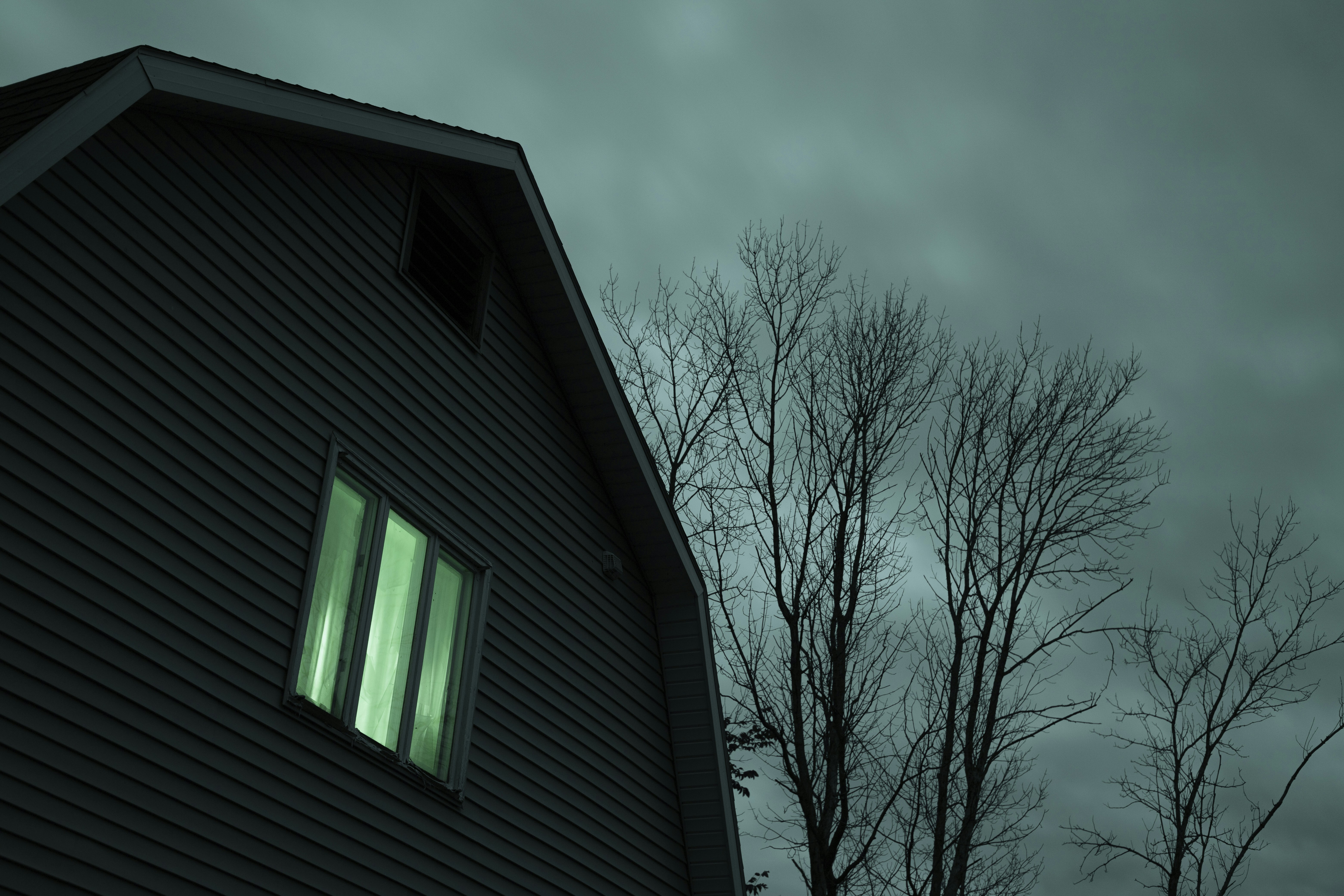 Green-tinged gable: a quiet dusk at the bare trees