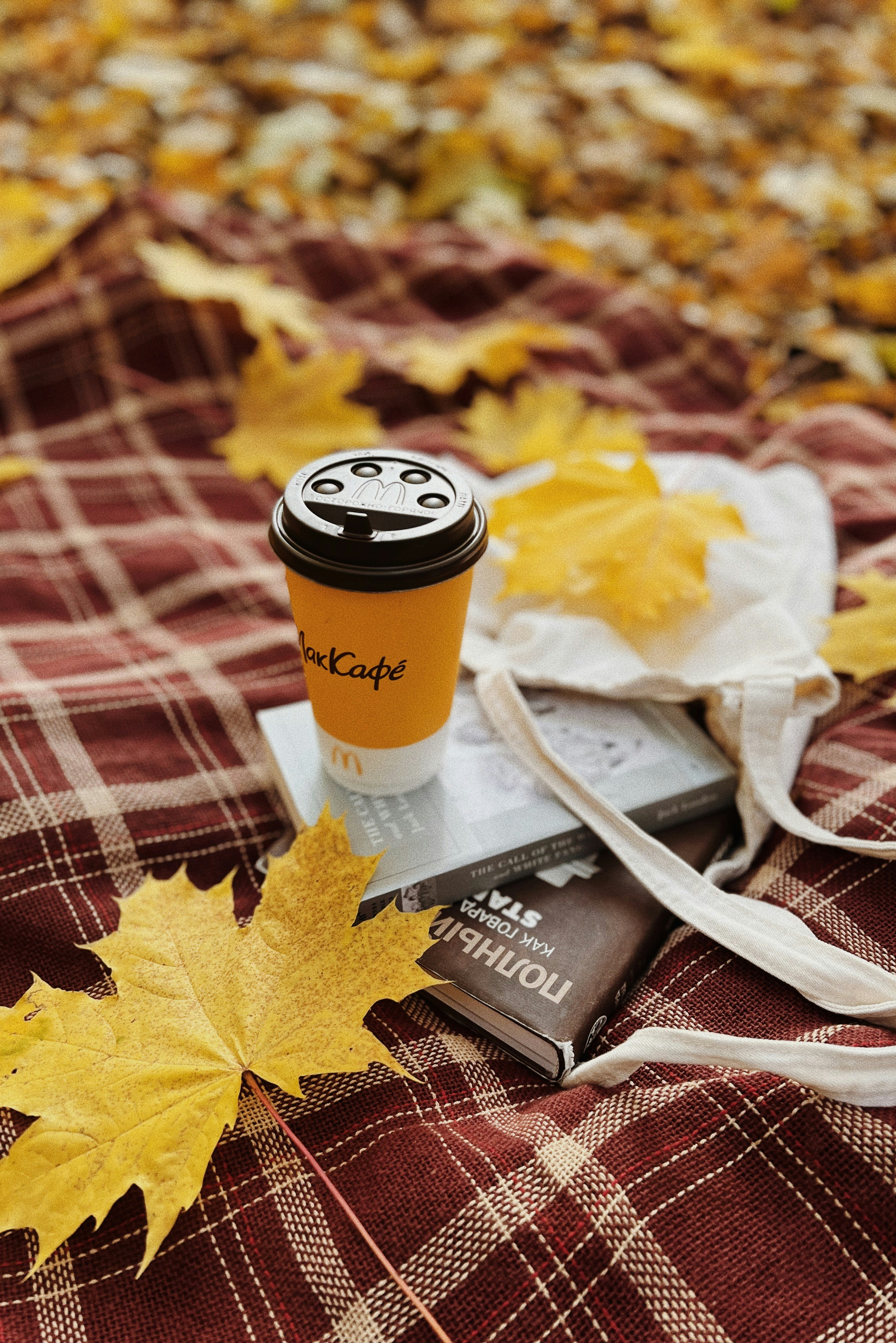 Autumn Interlude: A To-Go Cup on a Plaid Stage
