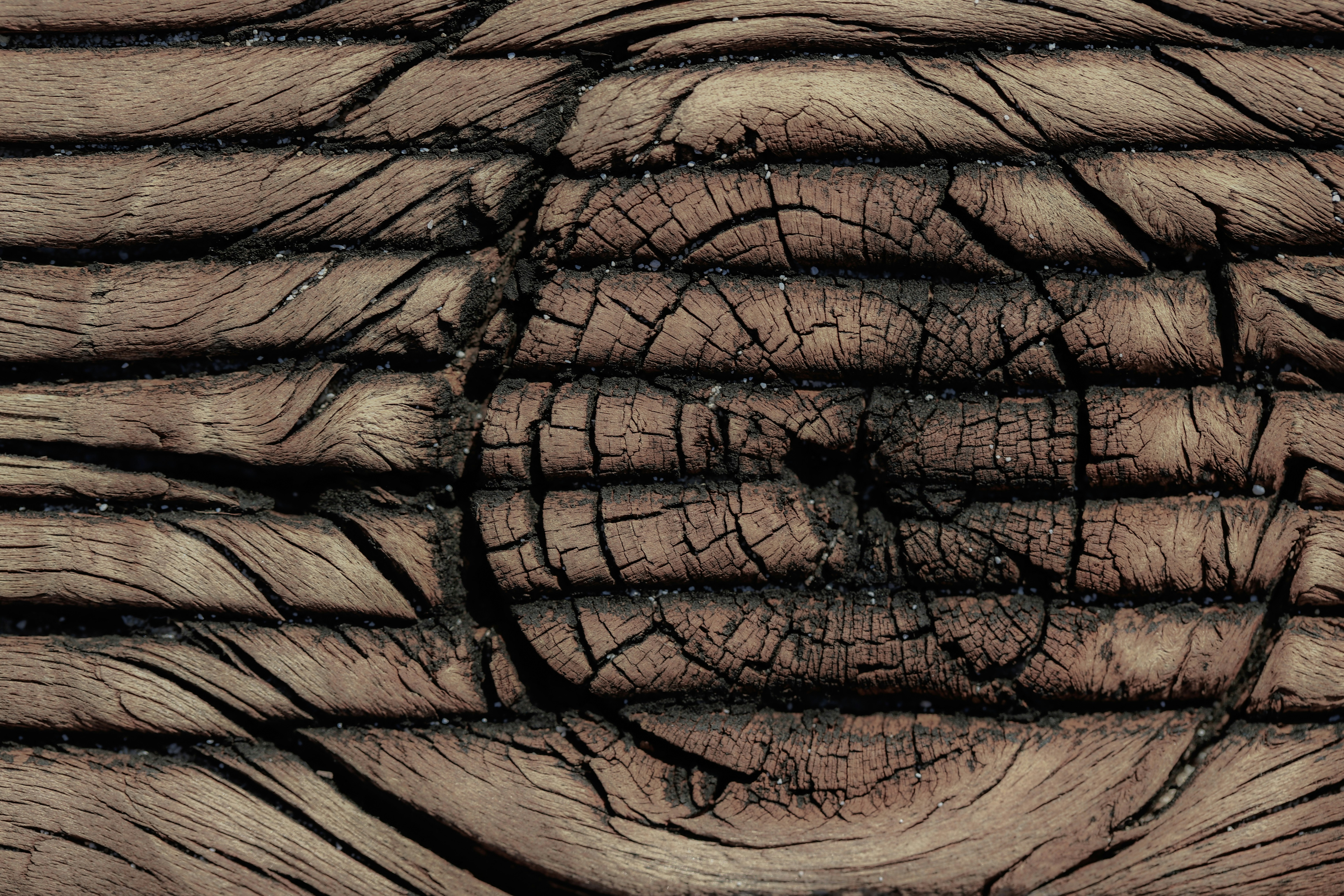 Cracked Rings and Knot: A Macro Portrait of Weathered Wood