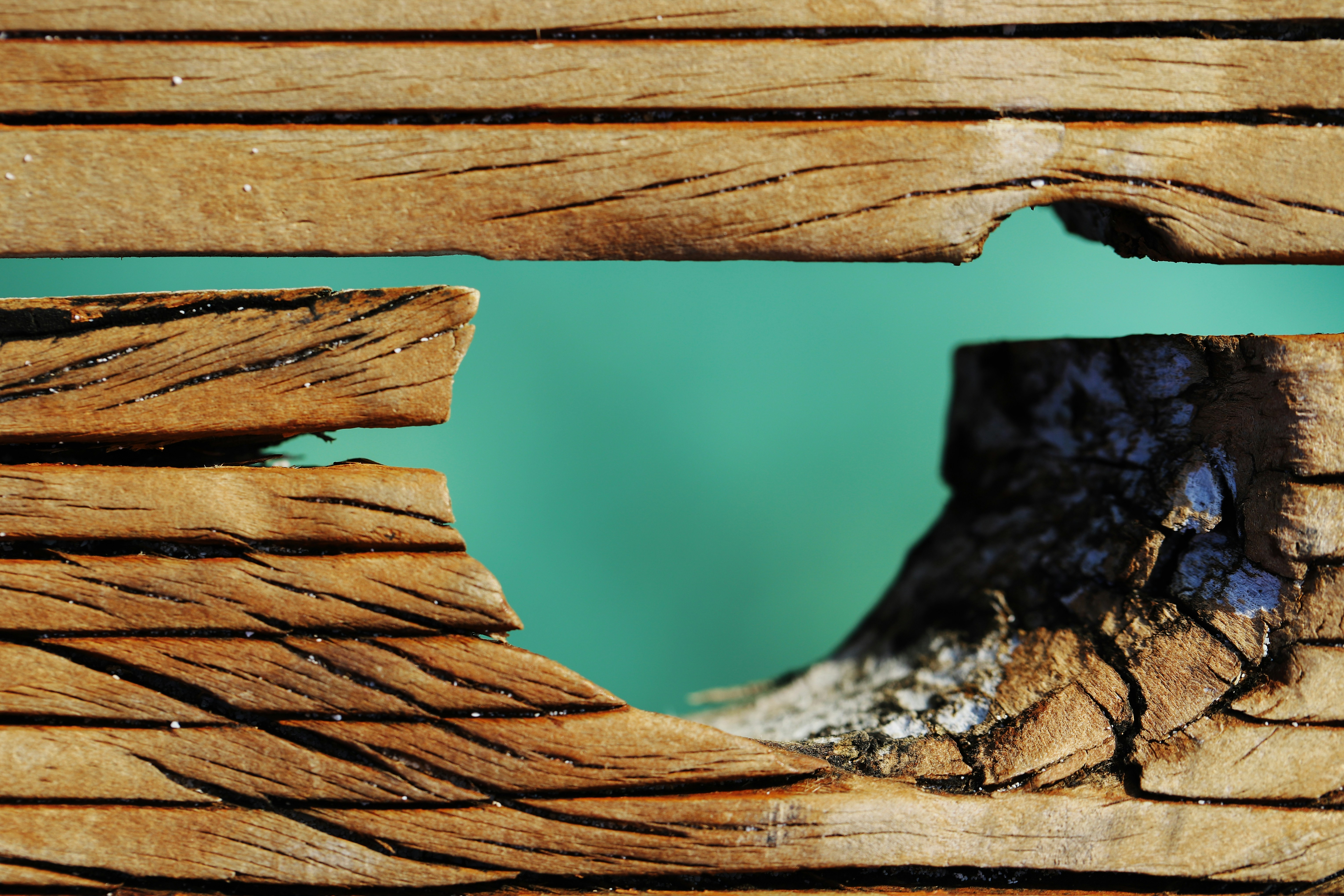 Cracked Teal Void: A Split in Weathered Wood