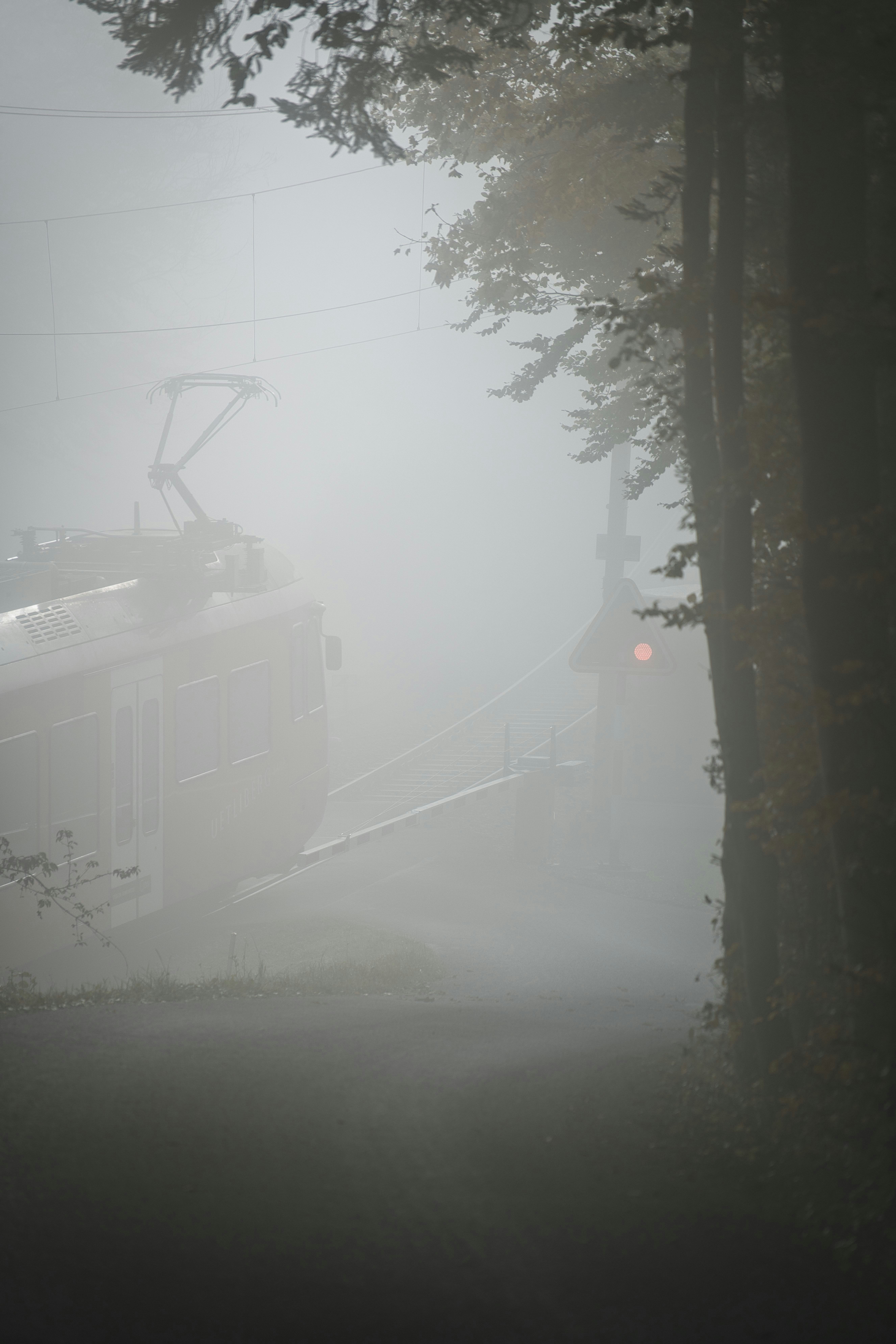 A train emerges from dense fog near a signal post, surrounded by trees. The scene evokes a sense of quiet anticipation and intrigue.