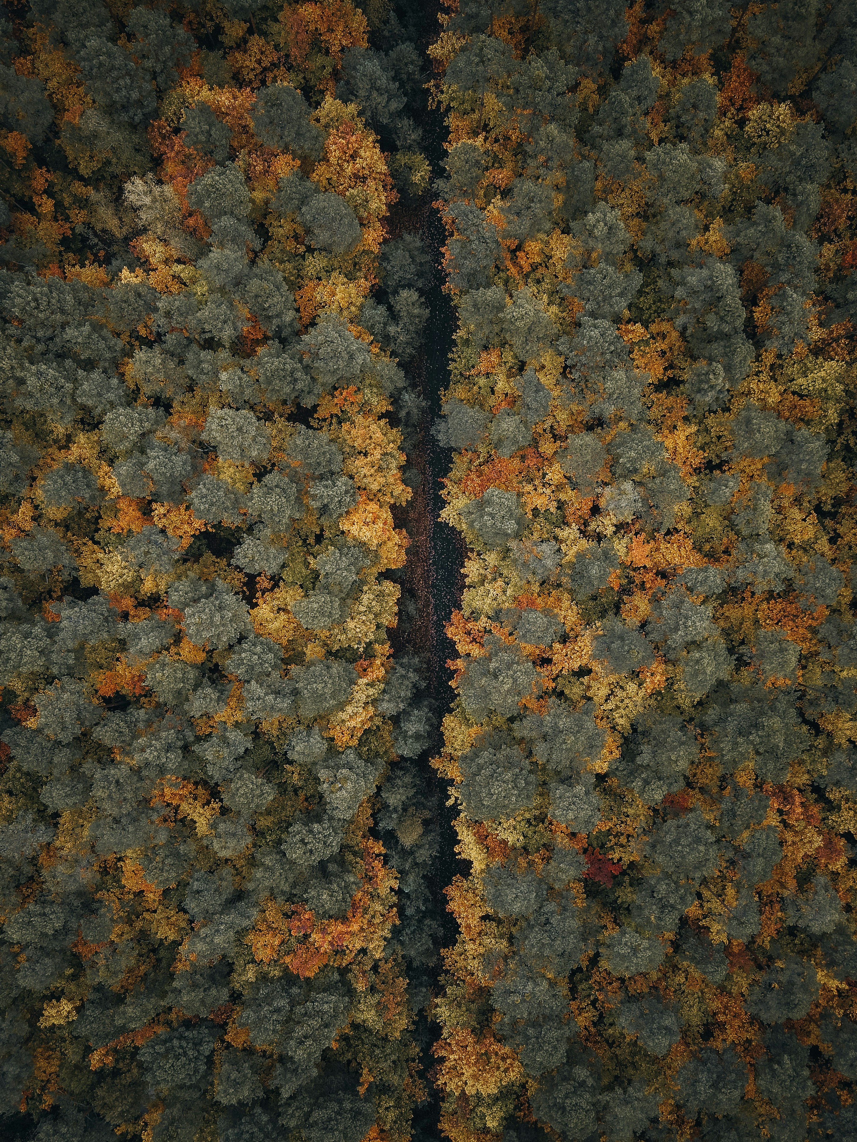 Autumn colors
