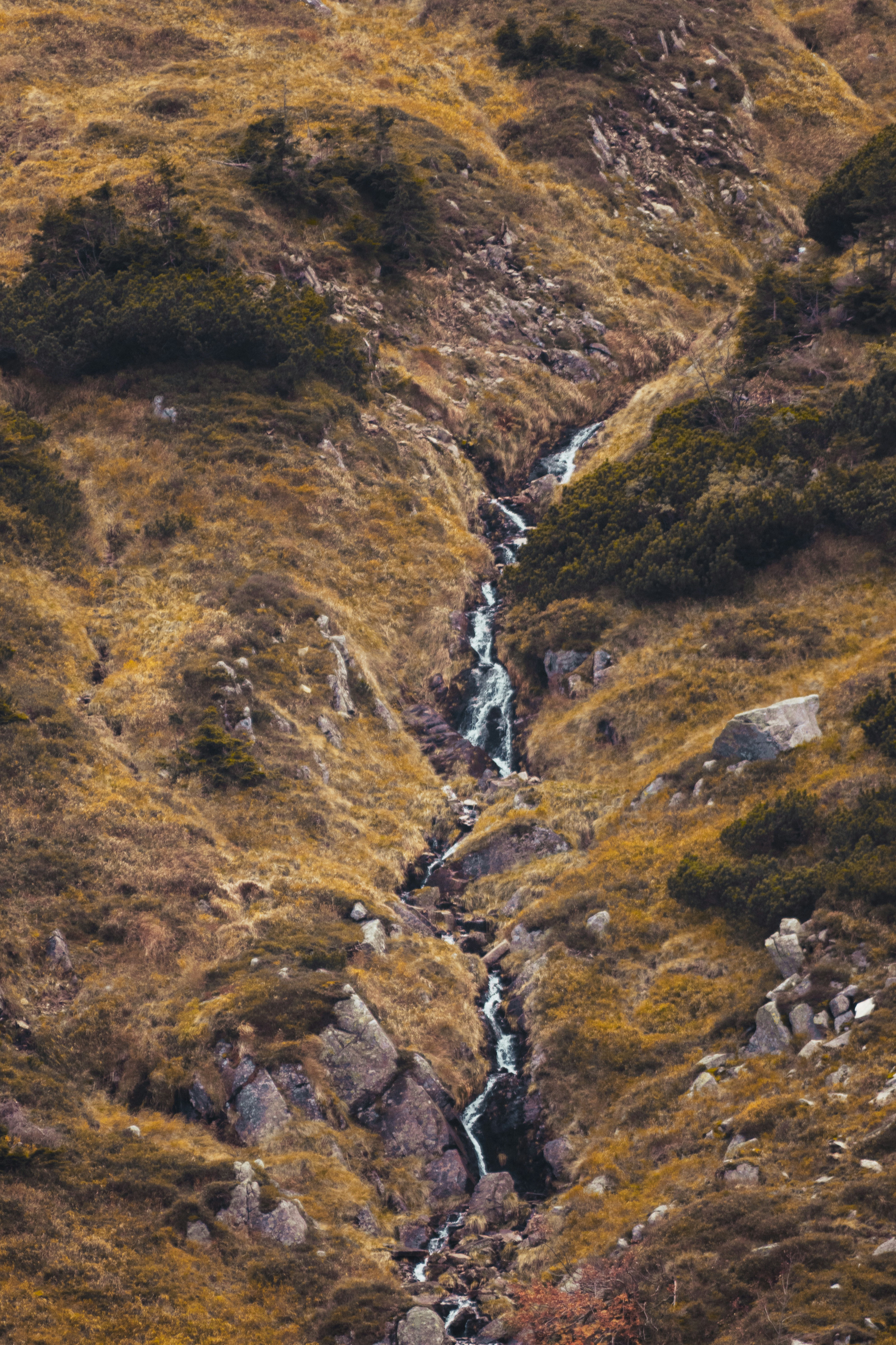 A stream of water running down a grassy hillside photo – Free Mountain ...