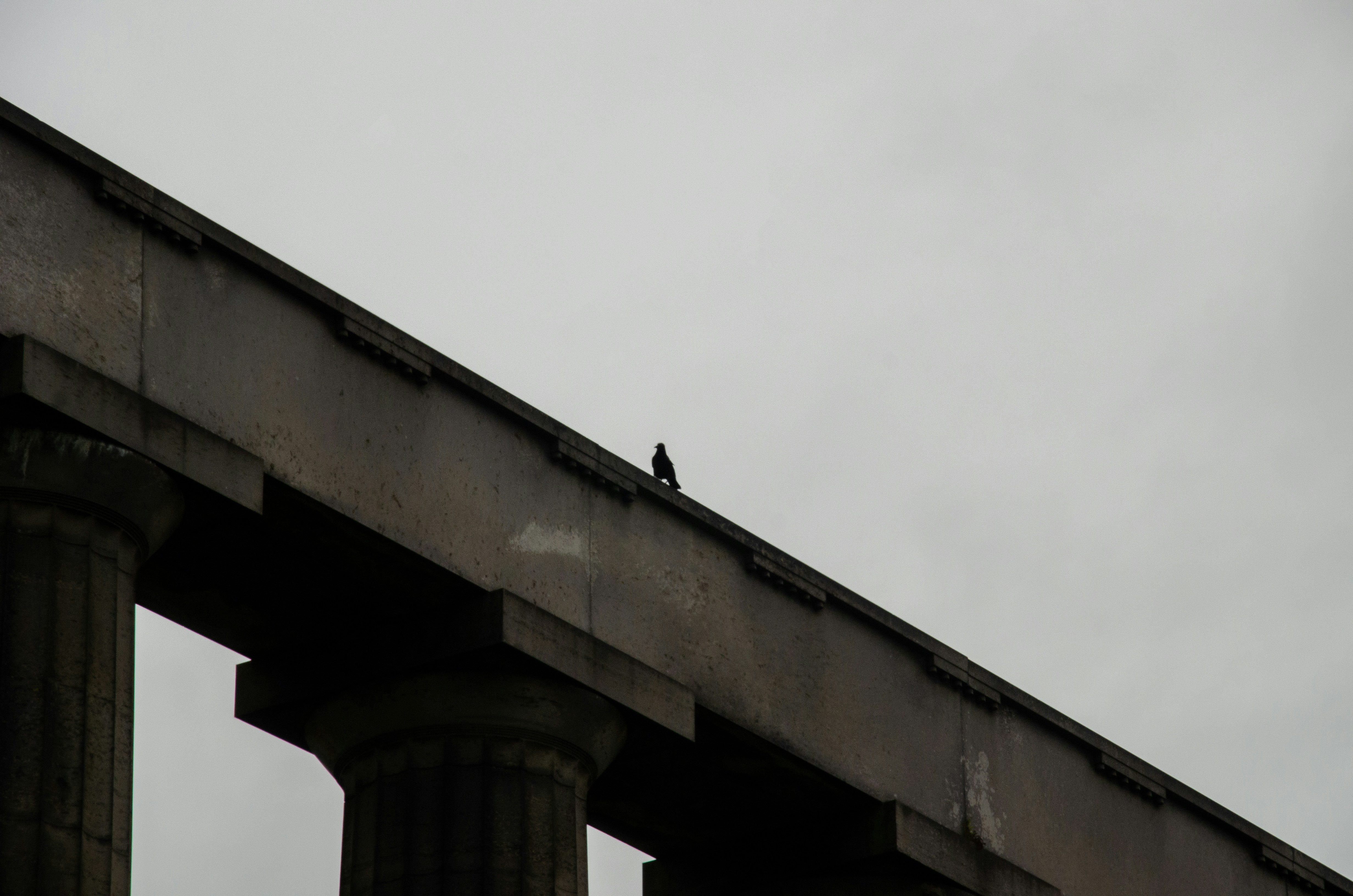 a bird is sitting on the edge of a bridge