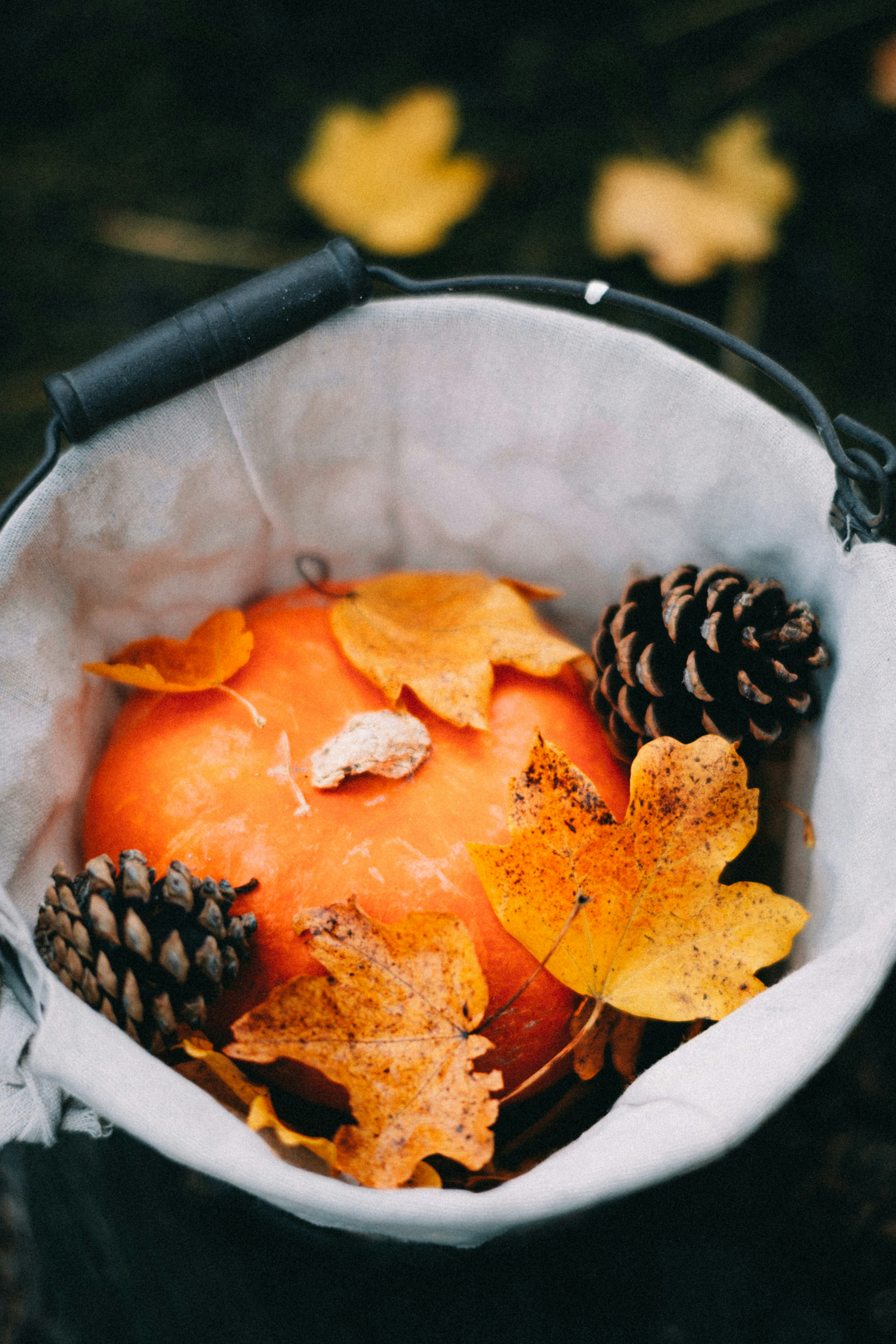 Orange pumpkin nestled in a basket with pine cones and autumn leaves.