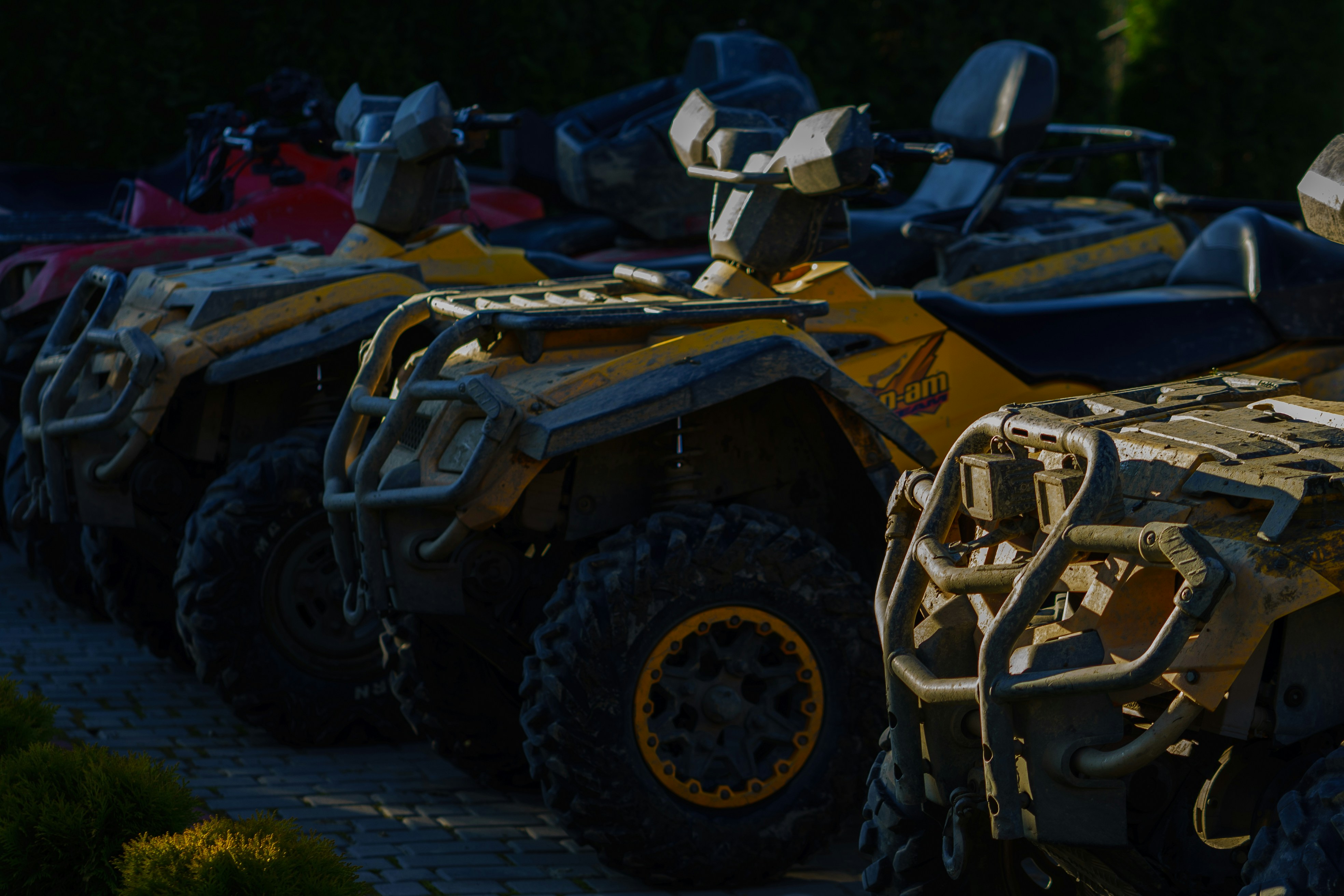 A row of yellow and black atvs parked next to each other photo – Free ...