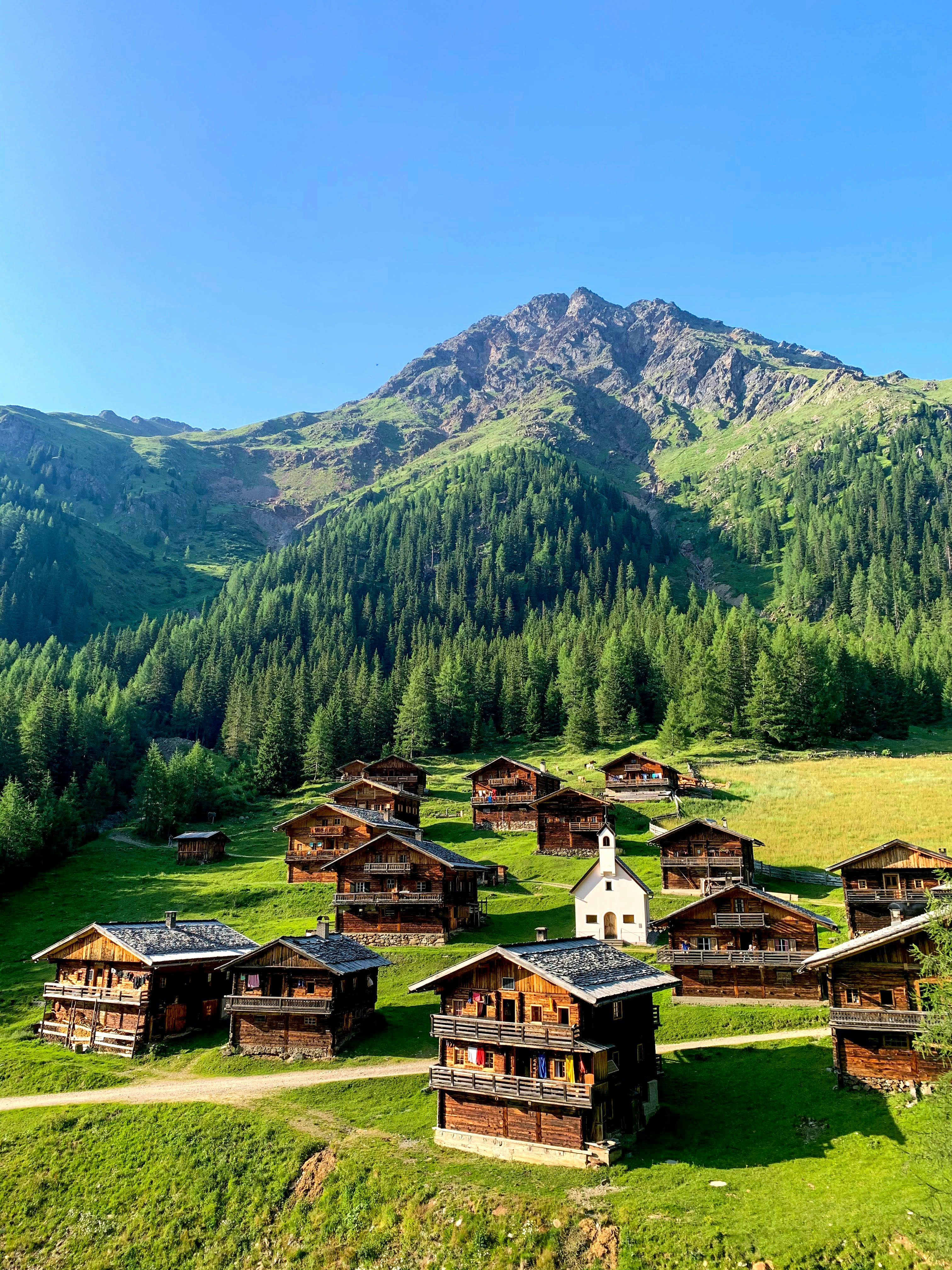Chalets in the Meadow Under a Jagged Alpine Peak