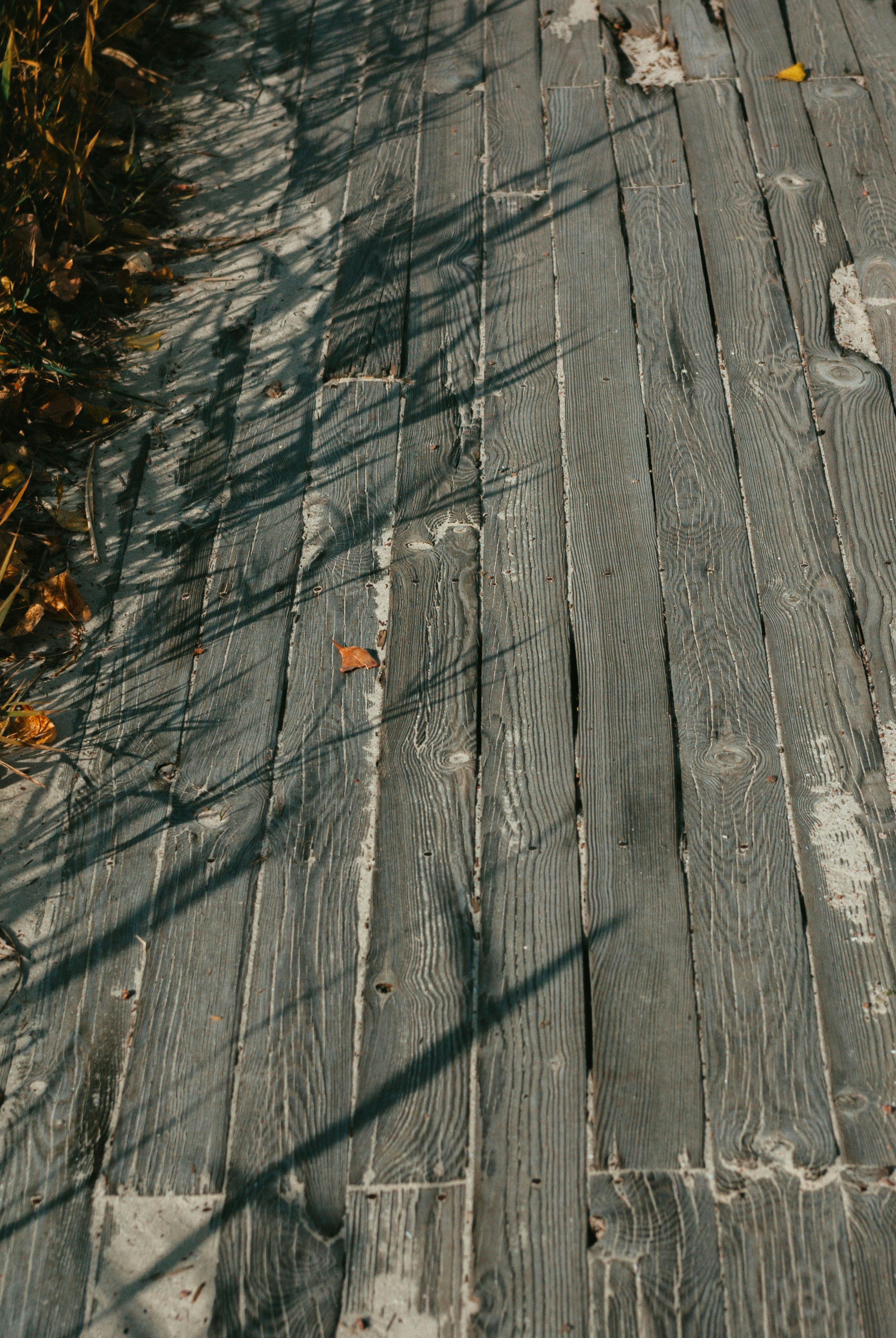 a cat is sitting on a wooden walkway