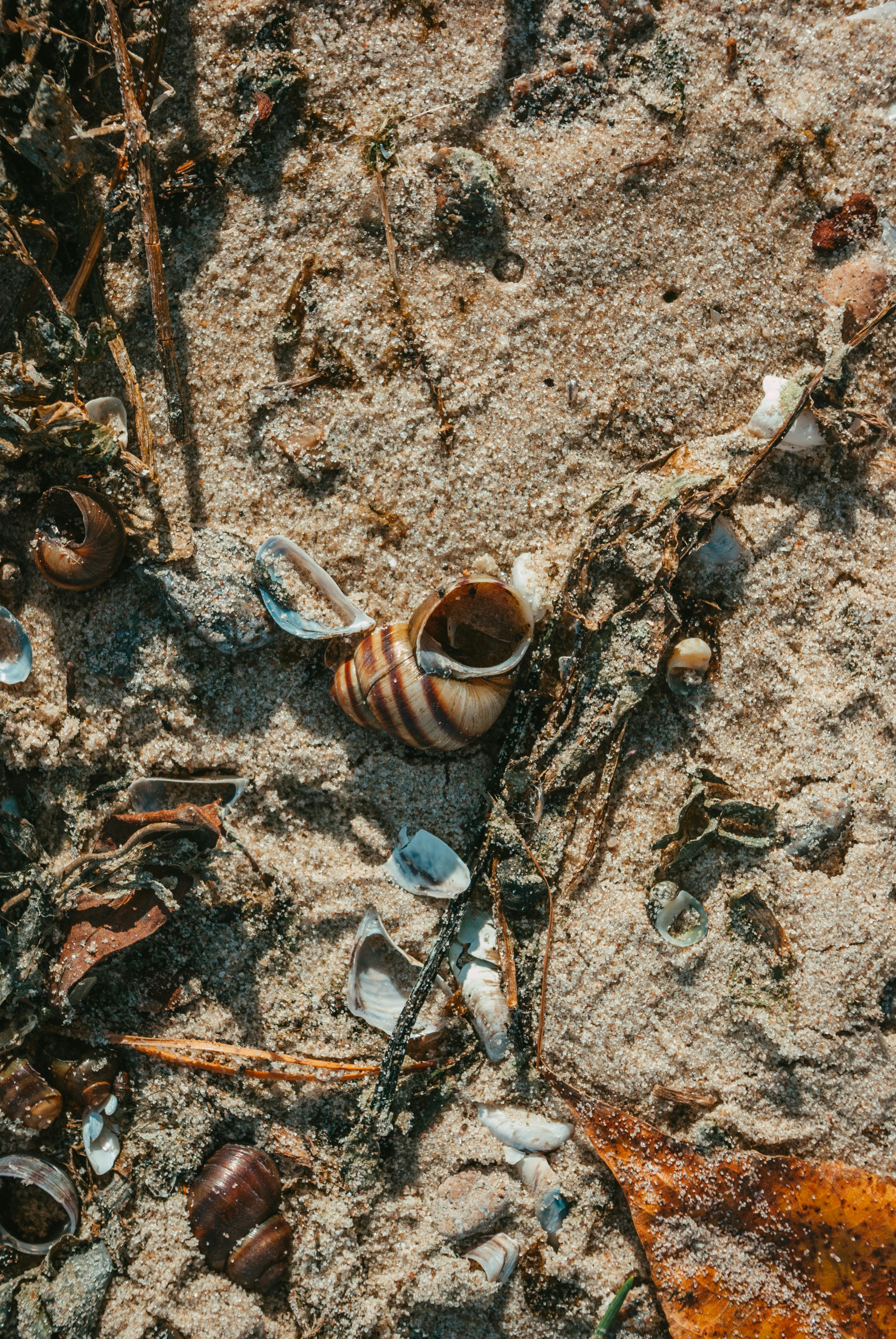 Photo by Moon Moons with Pentax K-M