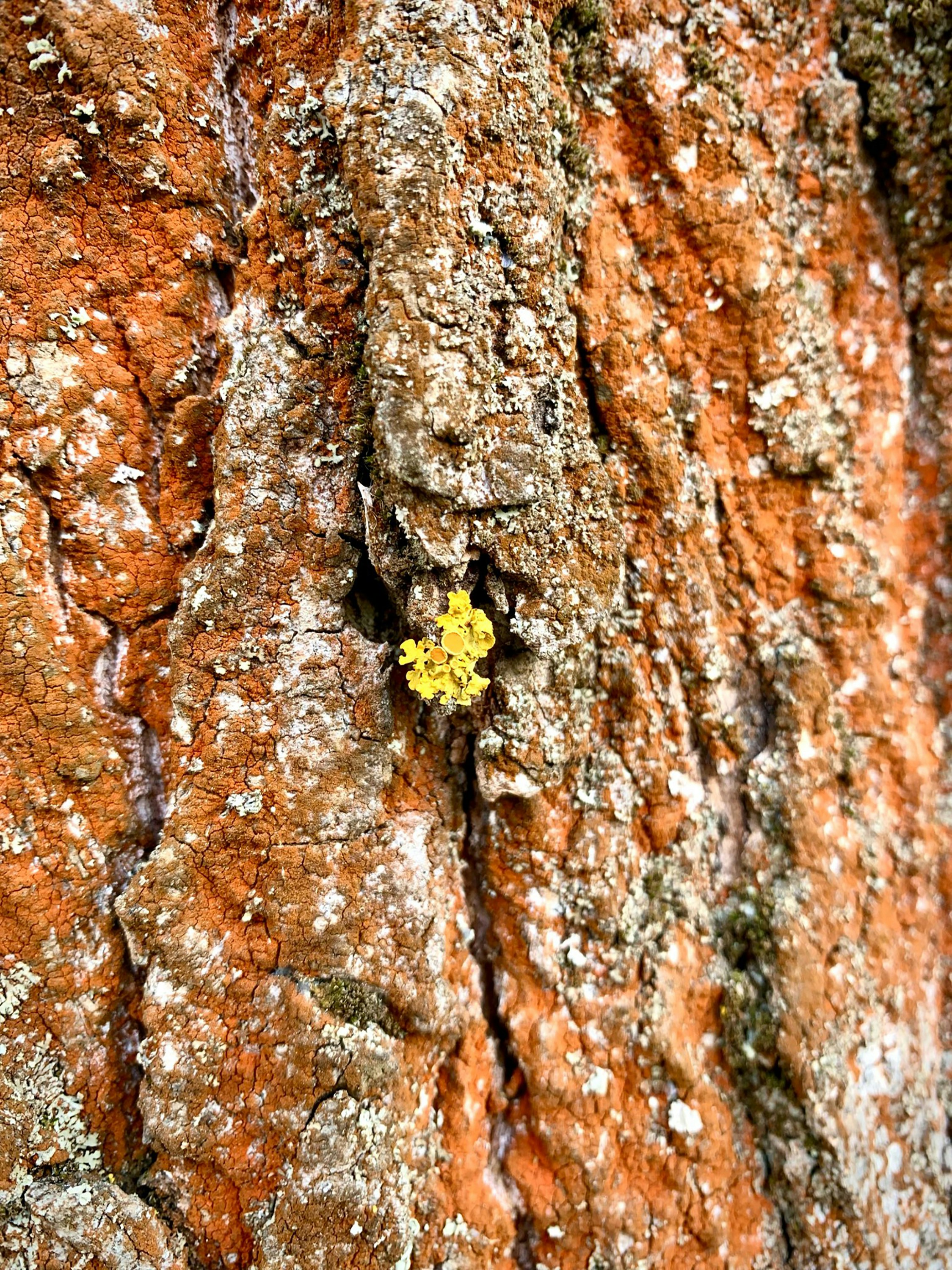 MK Digital Products (@mk_digitalproducts) | Unsplashフォトコミュニティ