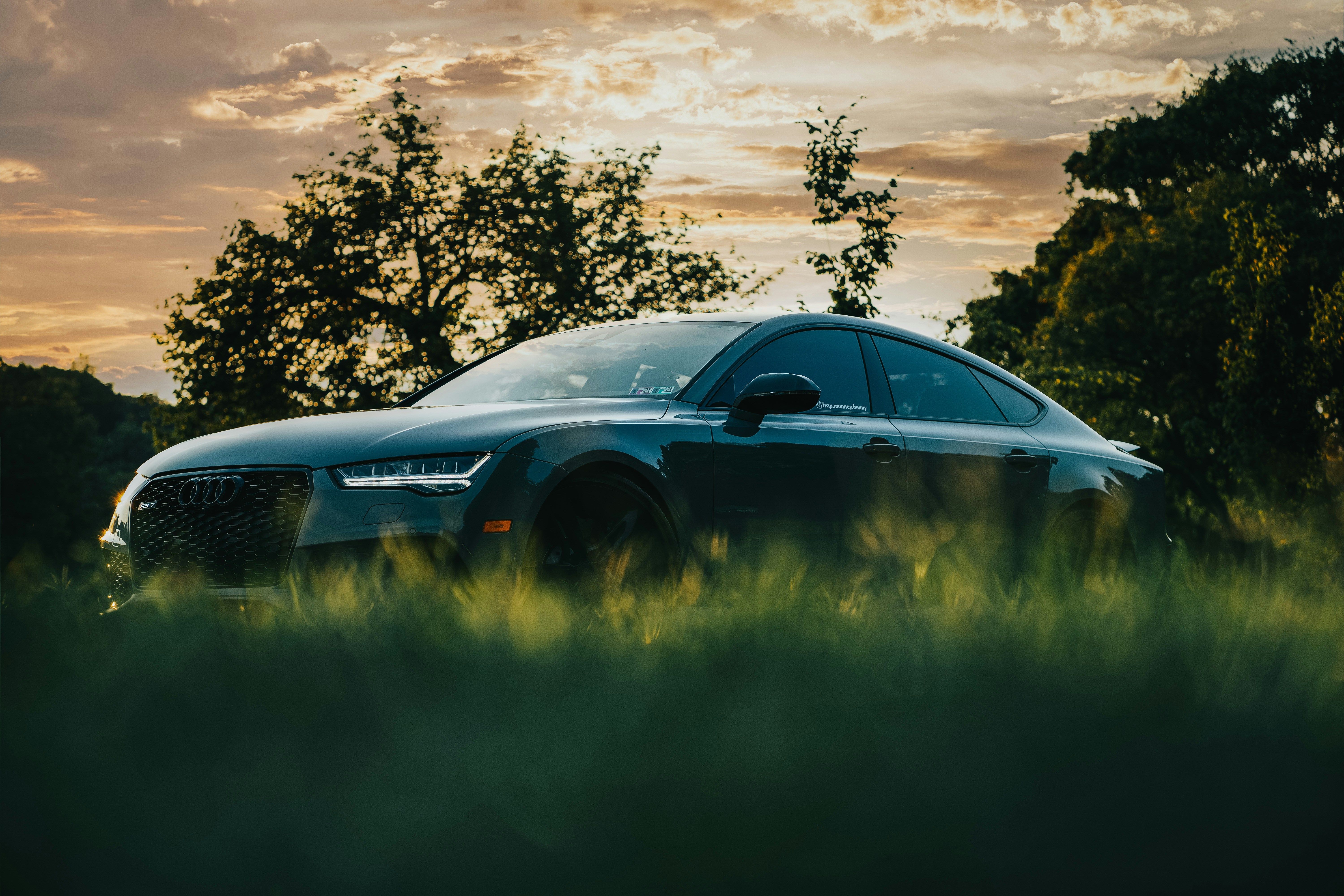 Sleek black Audi sports car parked amidst tall grass under a dramatic sunset sky.