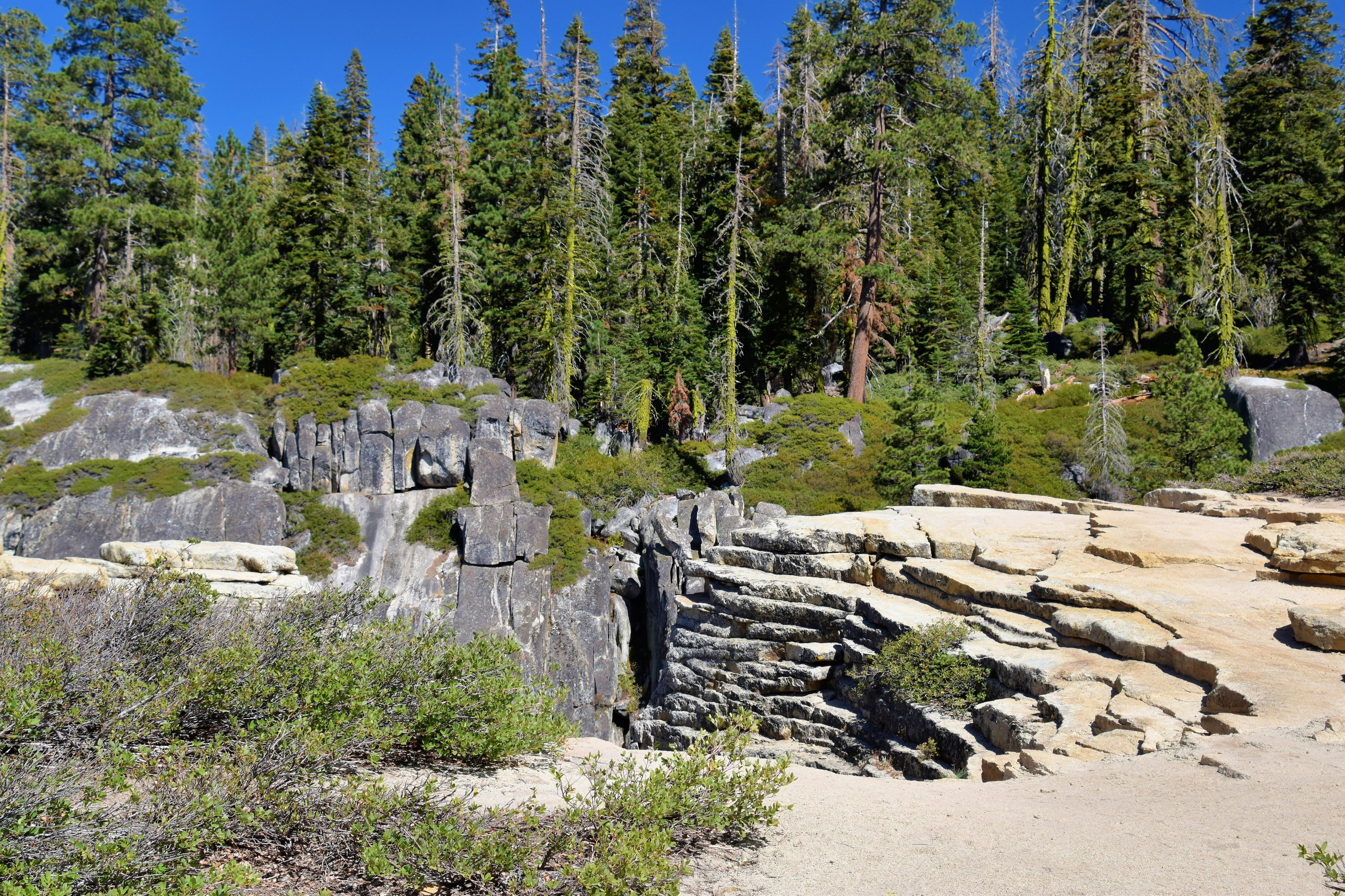 A rocky outcropping in the middle of a forest photo – Free Sentinel ...