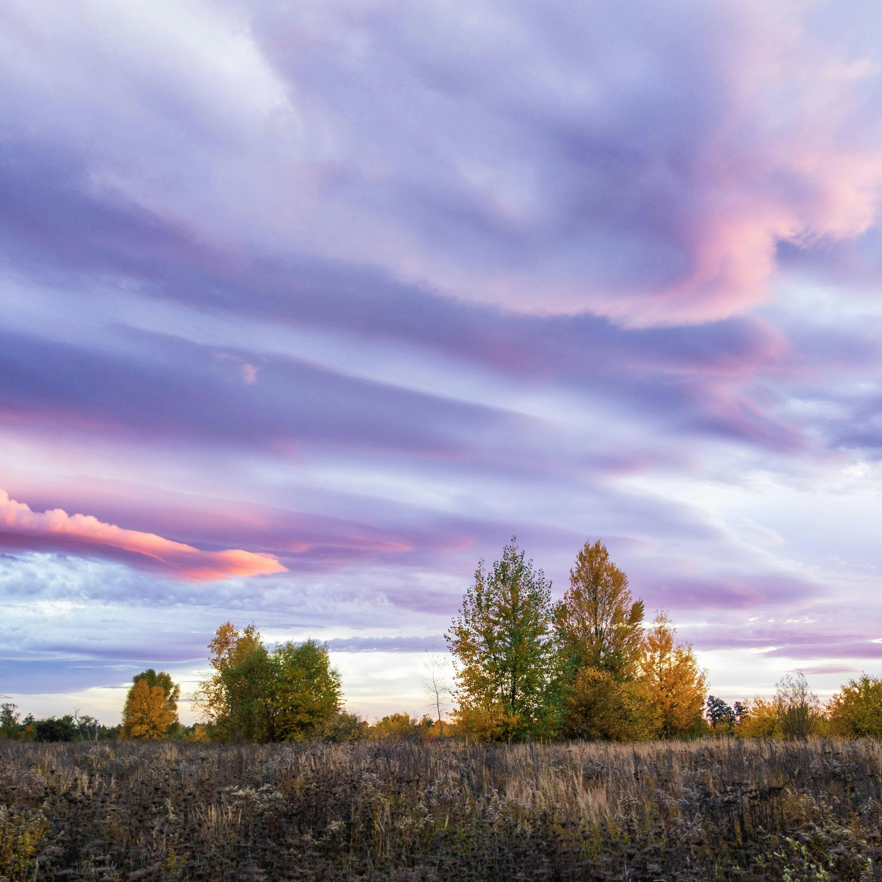 Vibrant sunset clouds stretch over an autumn meadow with trees tinged in fall colors.