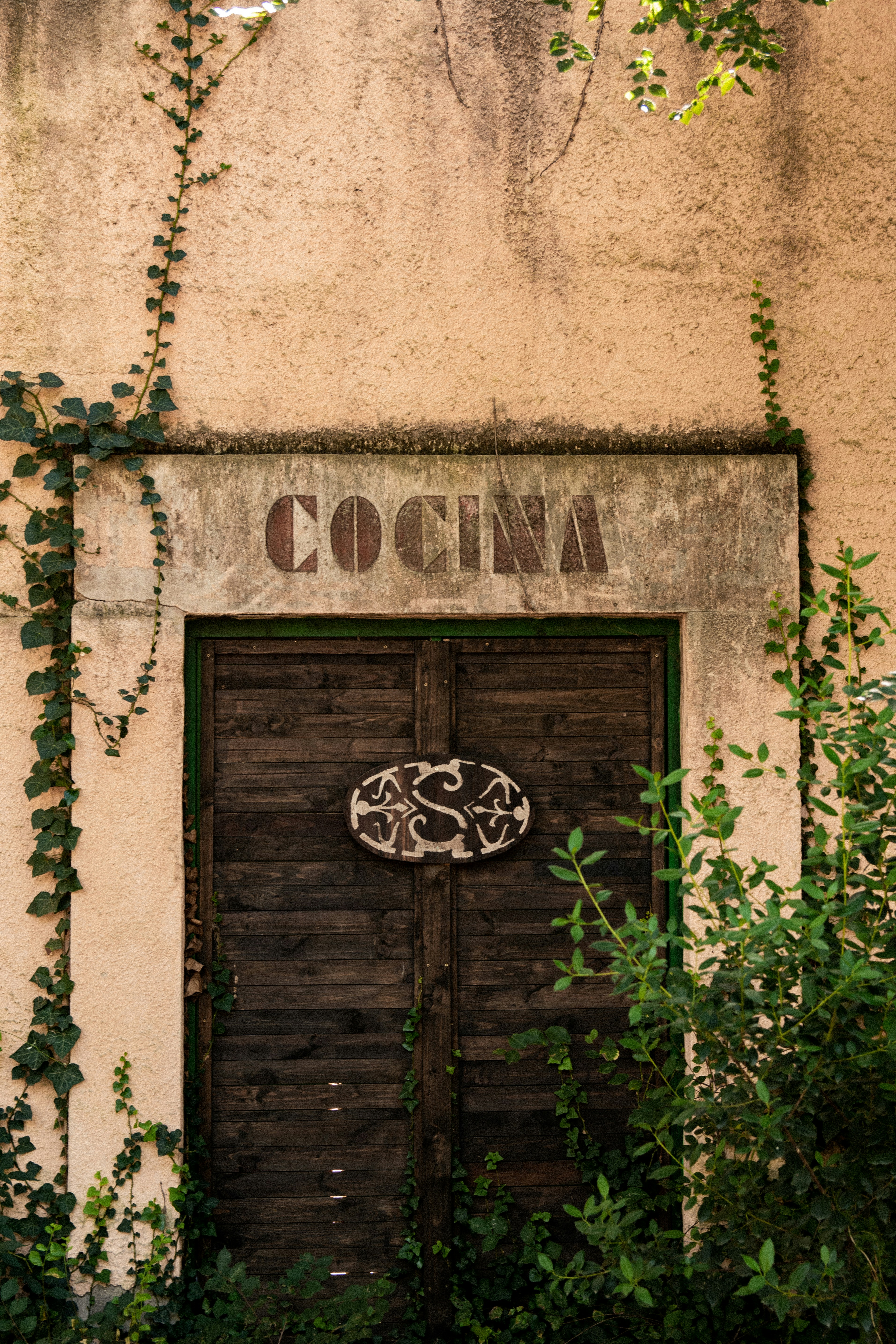 Doorway to a Quiet Overgrowth