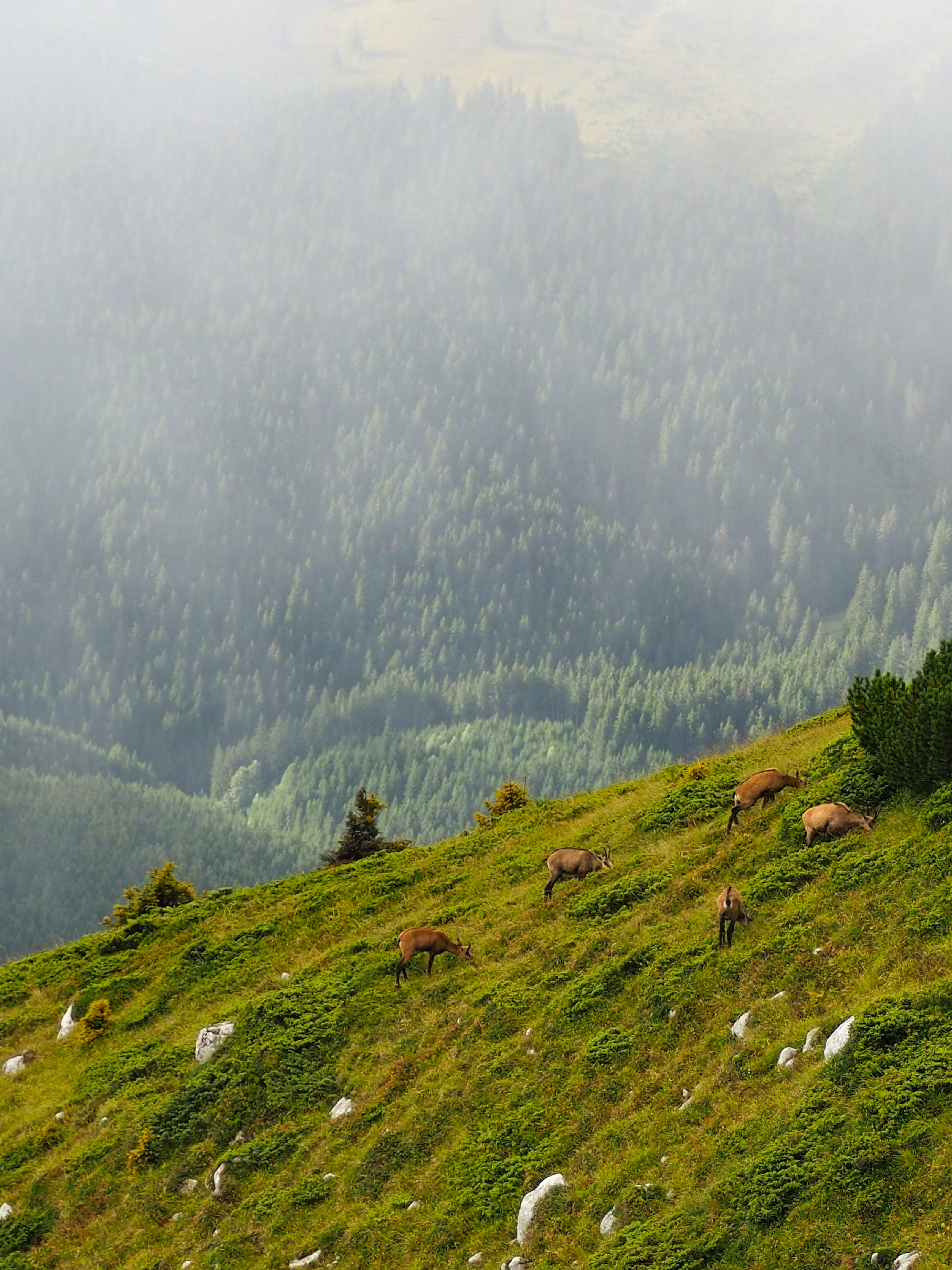 Alex Gherman (@alexegherman) | Comunidade de fotos da Unsplash