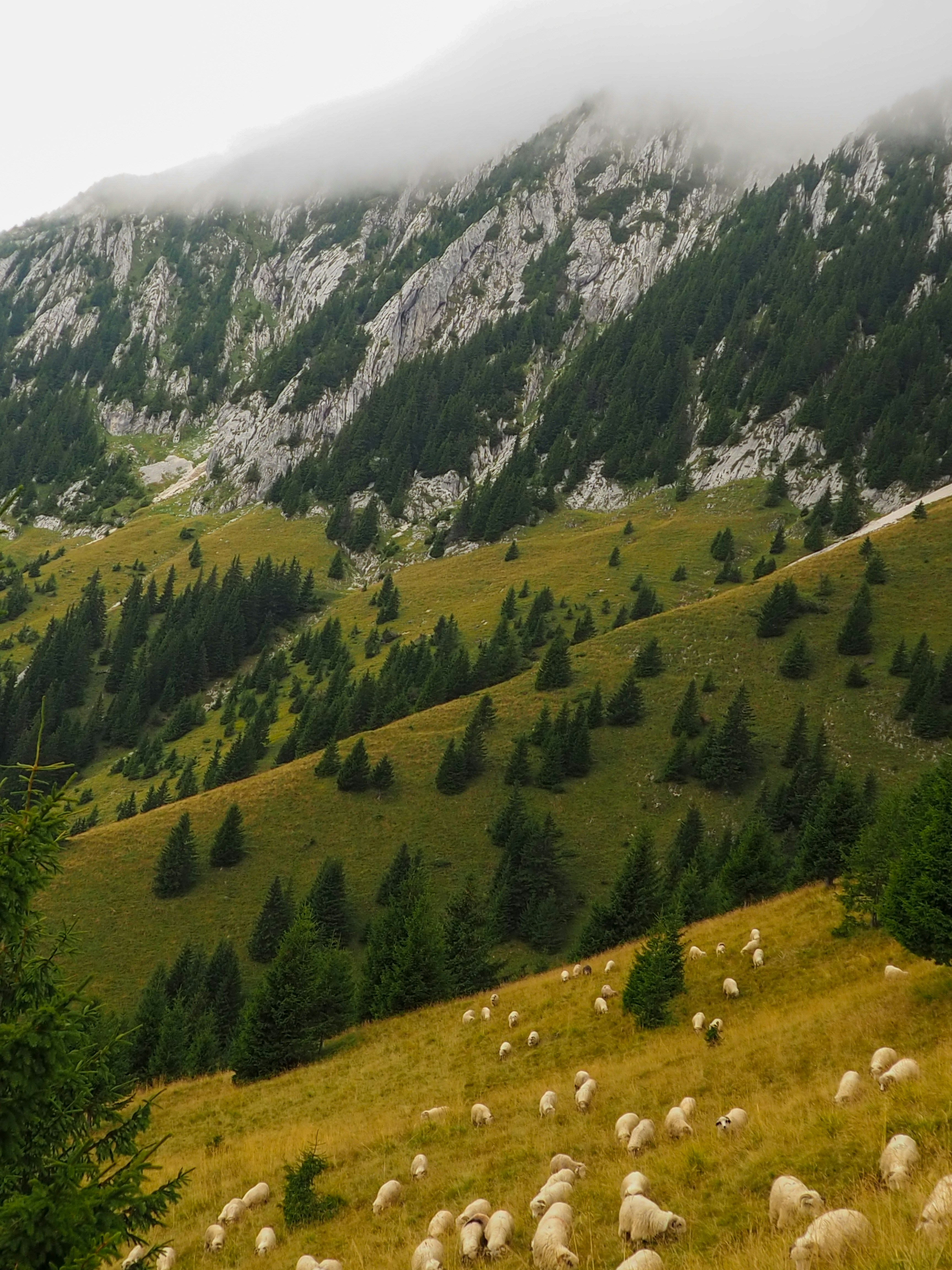 Alex Gherman (@alexegherman) | Comunidade de fotos da Unsplash